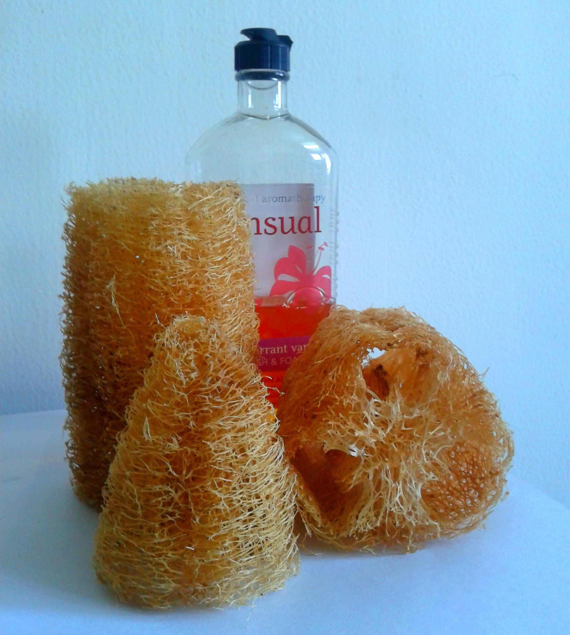 Handmade 100% Natural Shower Loofah : 4 Steps (with Pictures ...