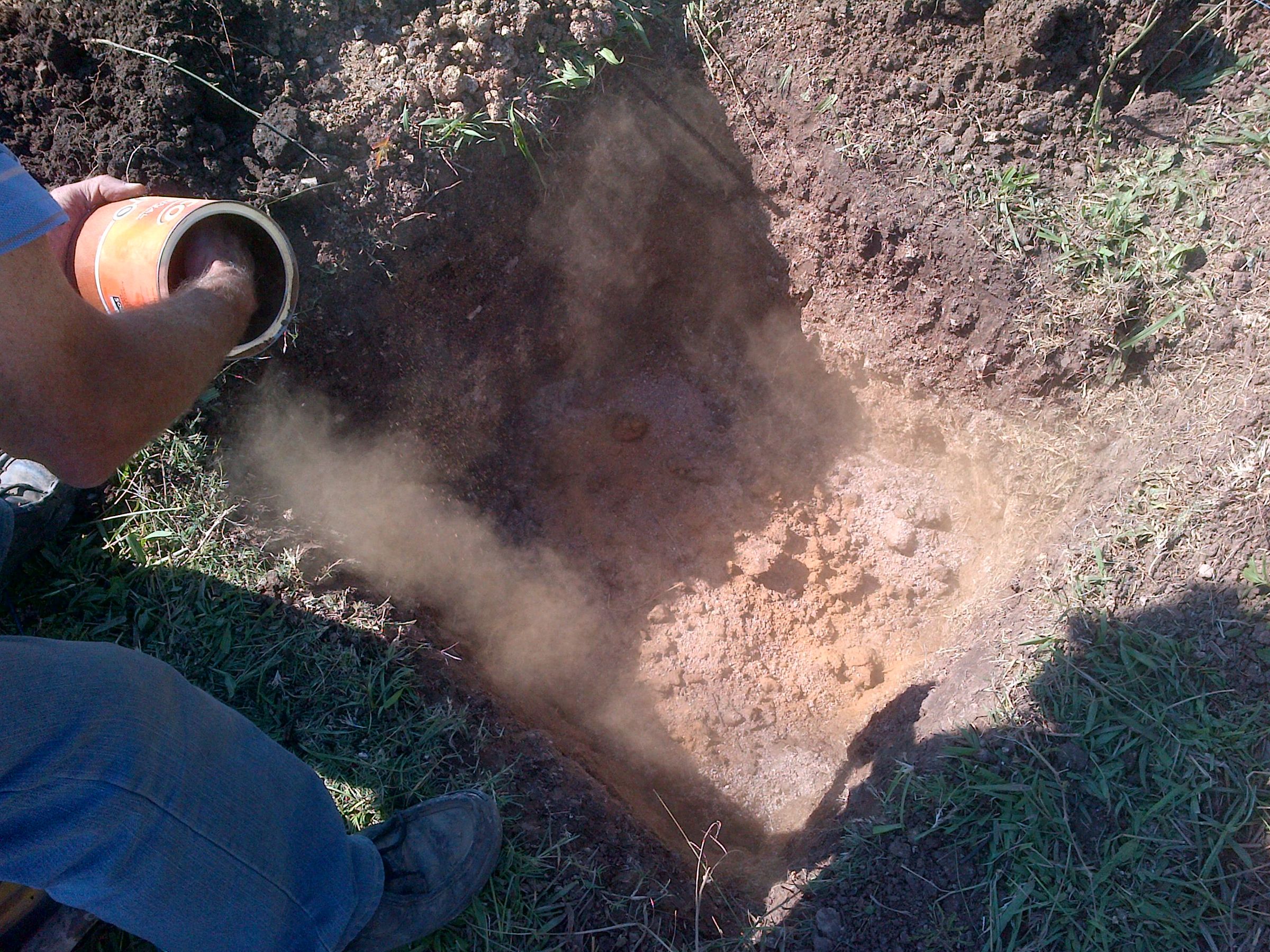 Planting Tree Ellen White Way (EGW) : 11 Steps - Instructables