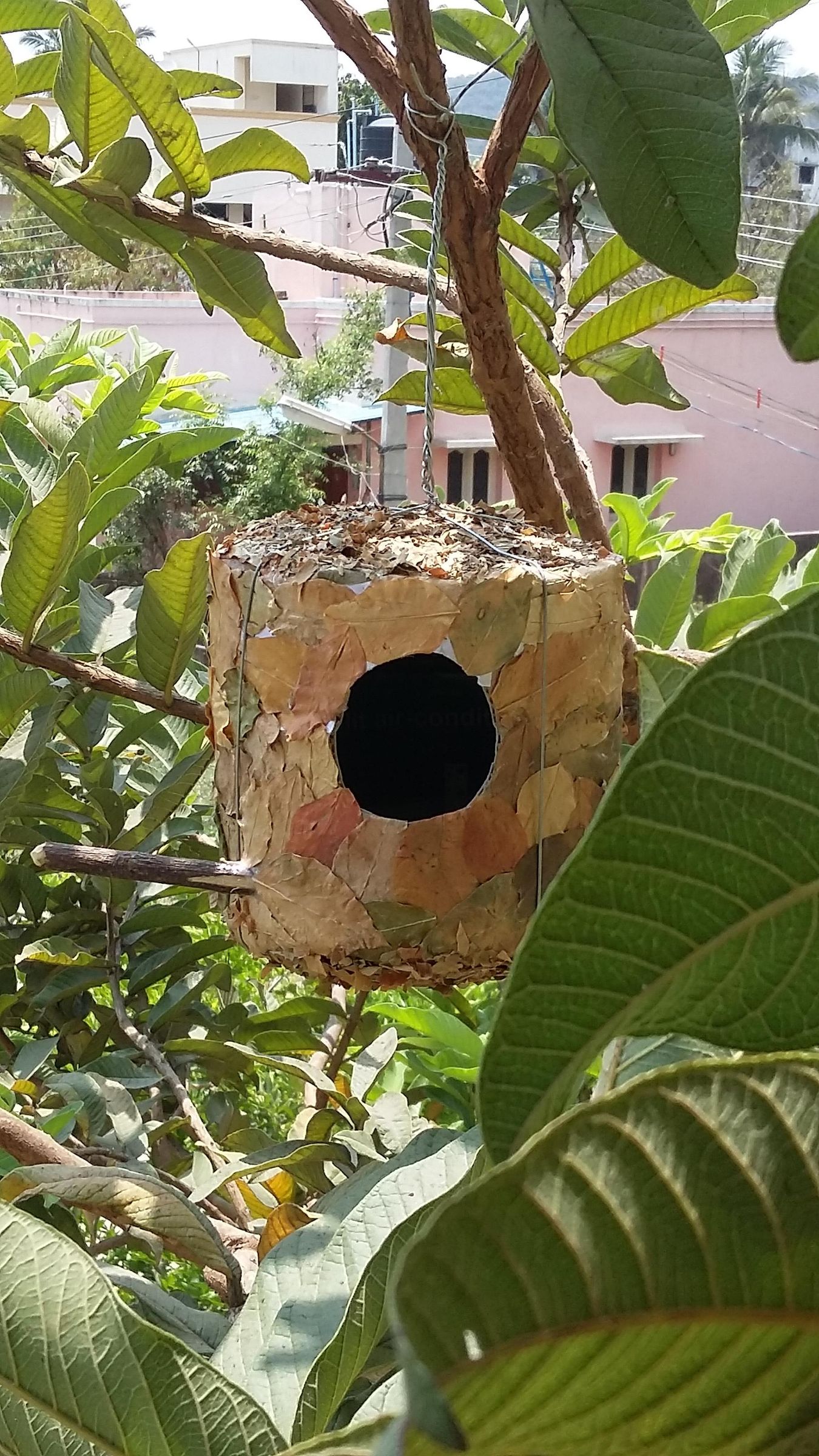 Cardboard Birds Nest Box : 12 Steps (with Pictures) - Instructables