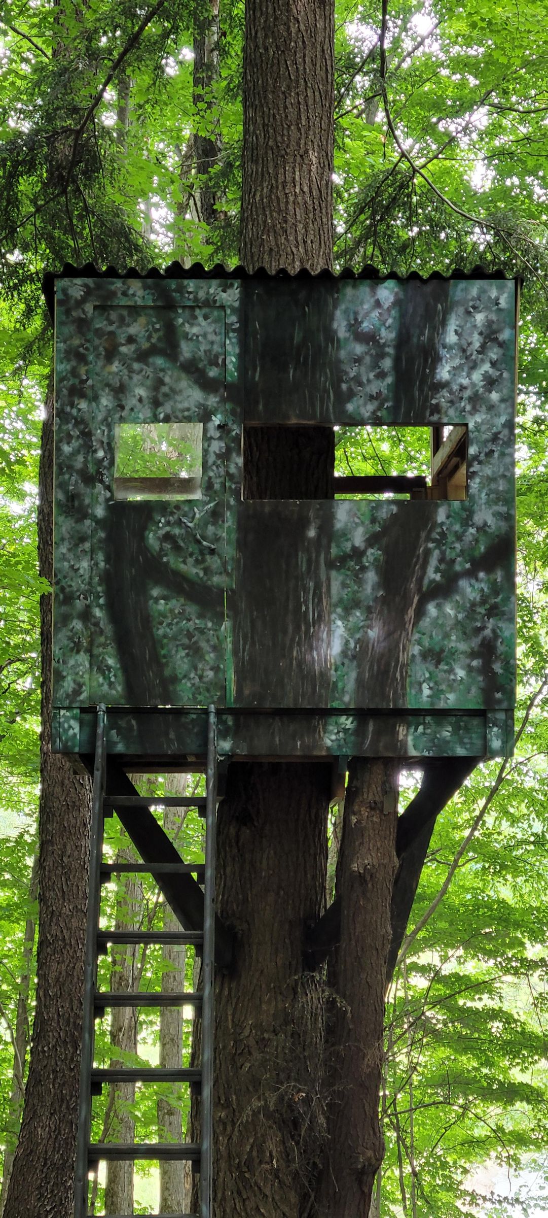 Tree Stand Blind : 12 Steps (with Pictures) - Instructables