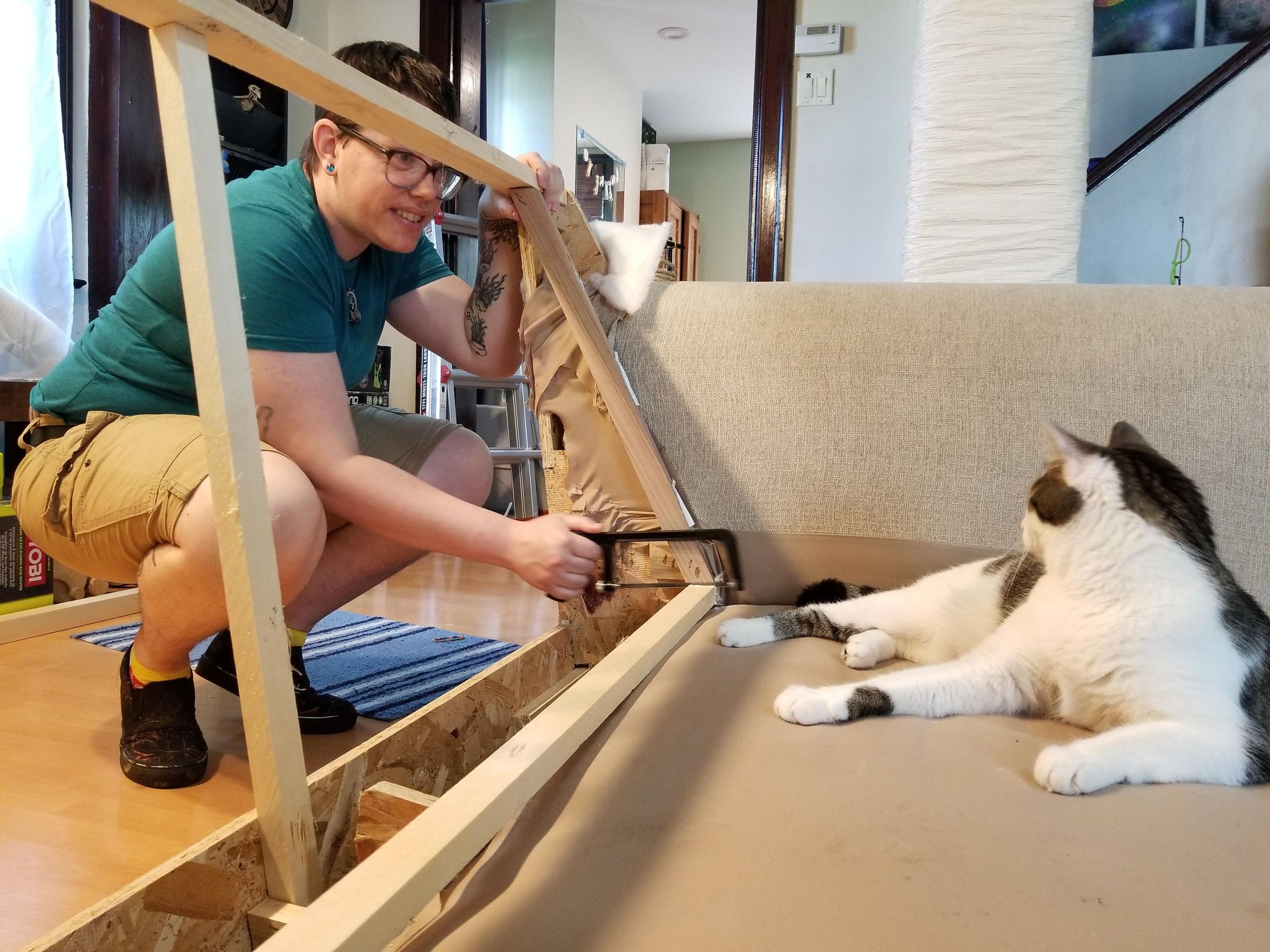 Couch Hack for Your Cat : 14 Steps (with Pictures) - Instructables