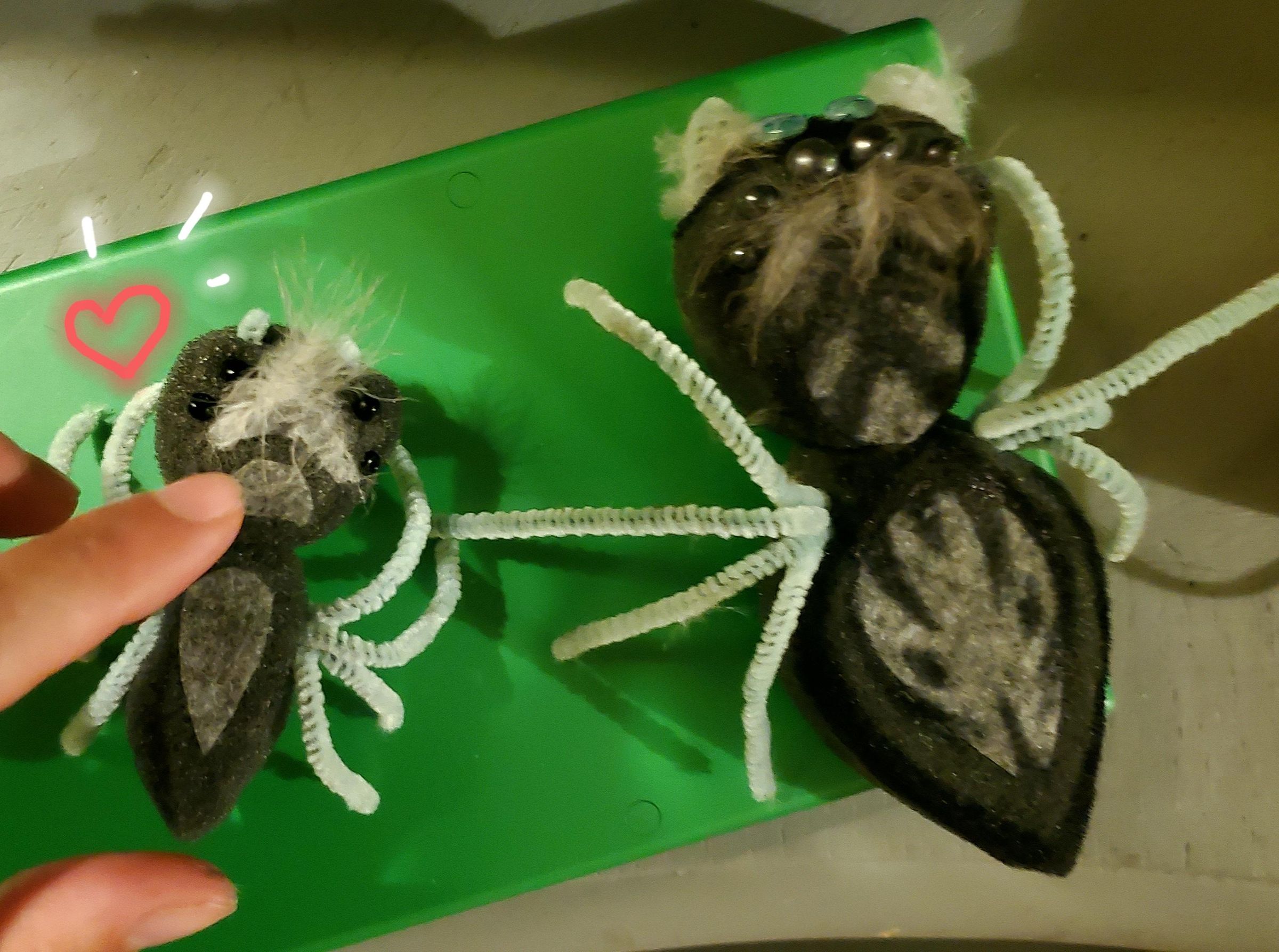 Jumping Spider : 9 Steps (with Pictures) - Instructables