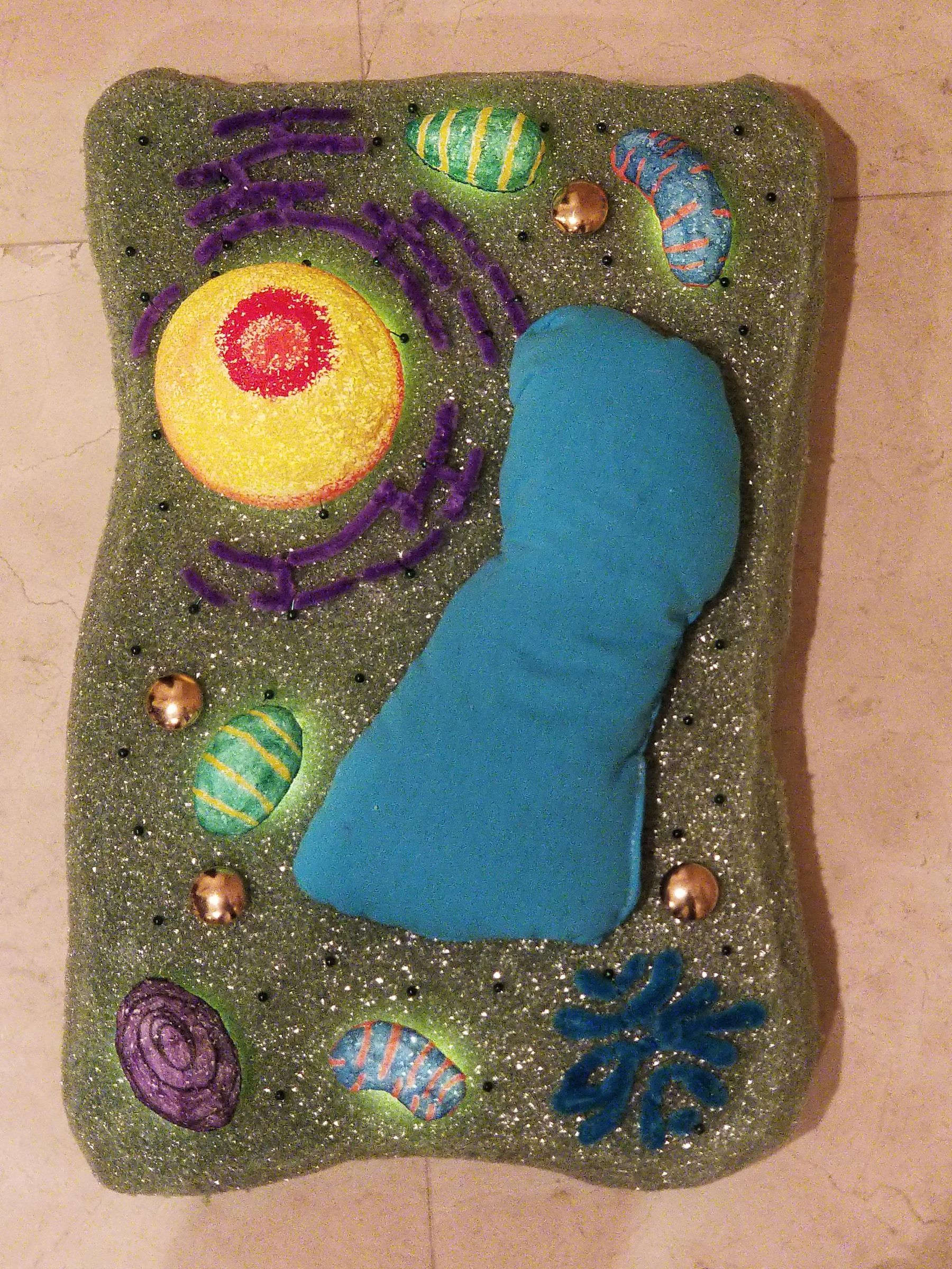 Cell Model Educational Model From Recycled Materials : 5 Steps (with ...