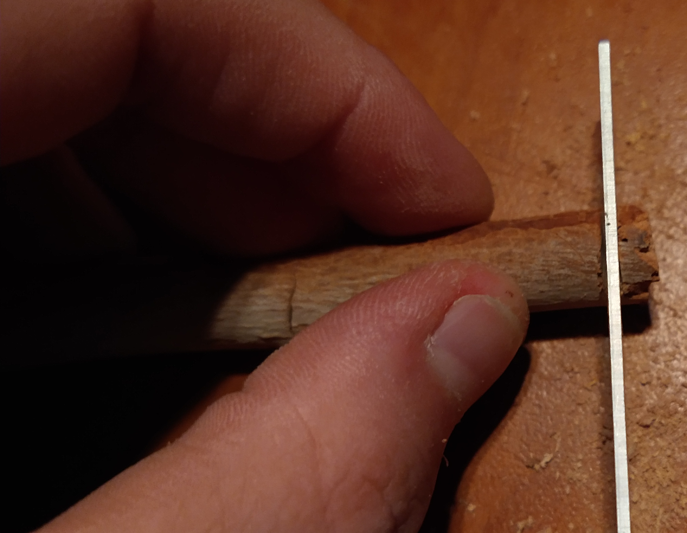 Perfect Praying Mantis Cups : 9 Steps (with Pictures) - Instructables