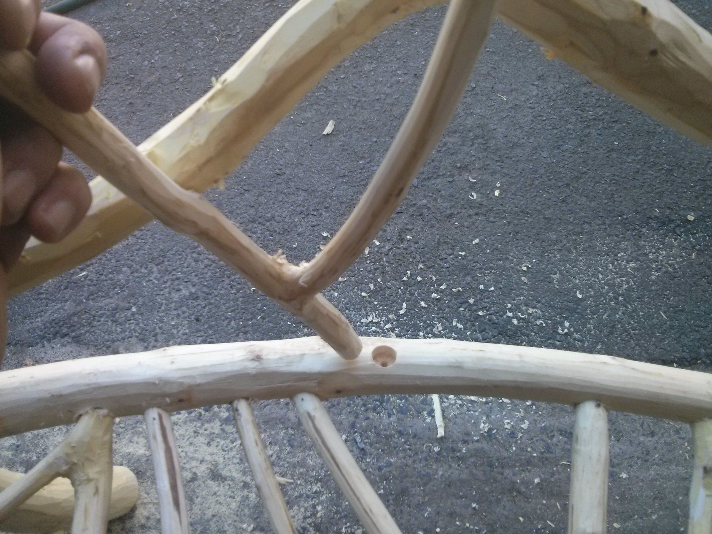 Decorative Garden Bench Made From Fallen Tree Limbs : 9 Steps ...