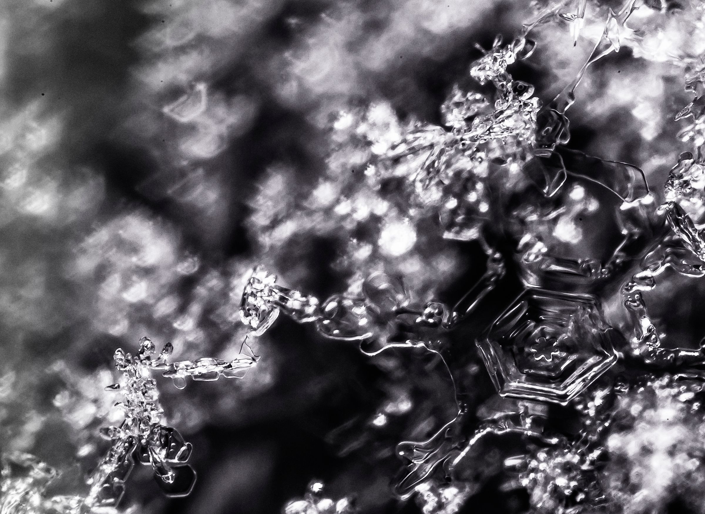 How to Preserve a Snowflake Forever! : 7 Steps (with Pictures ...