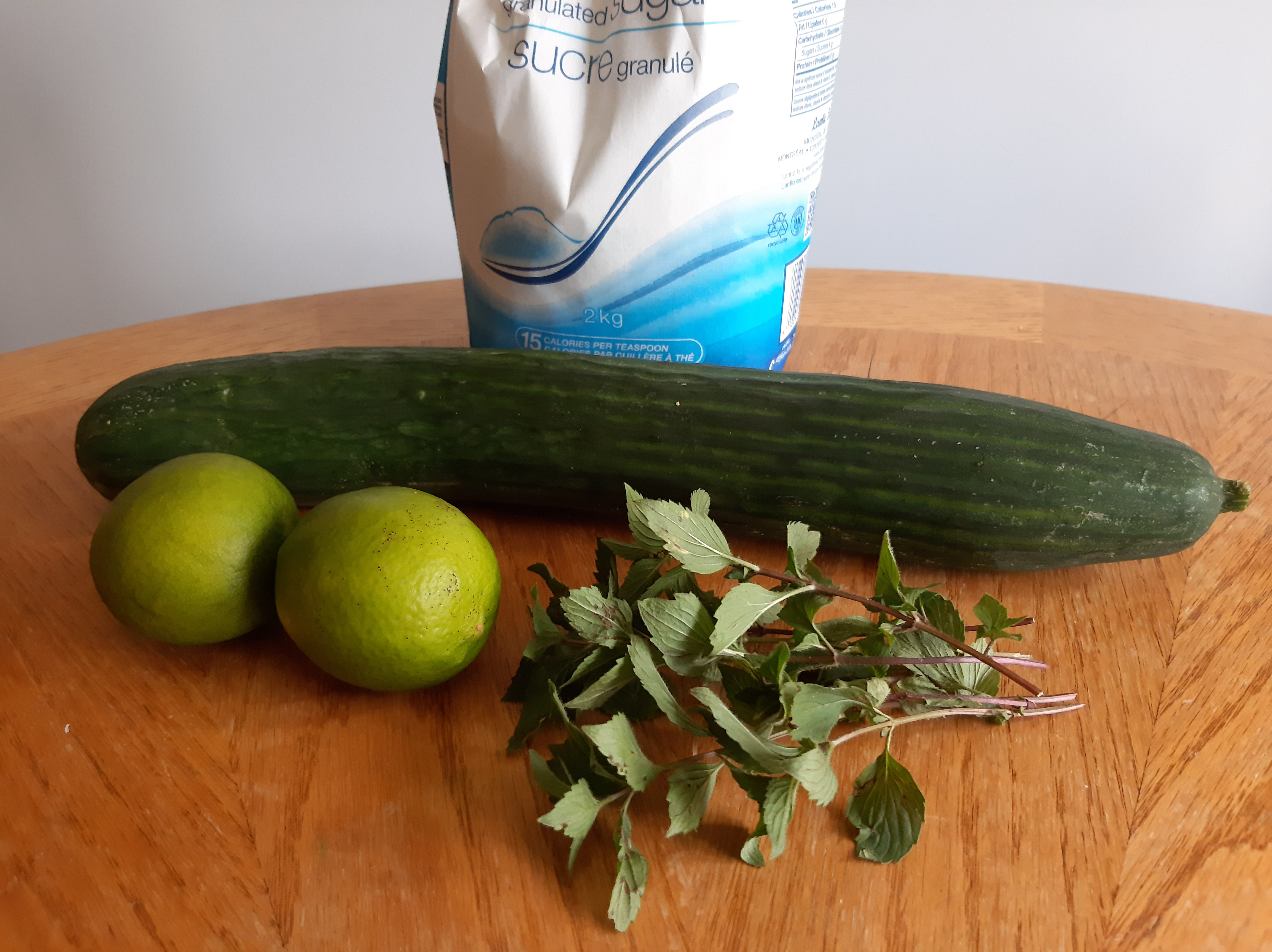 Refreshing "Swamp Water" Popsicles : 9 Steps (with Pictures ...