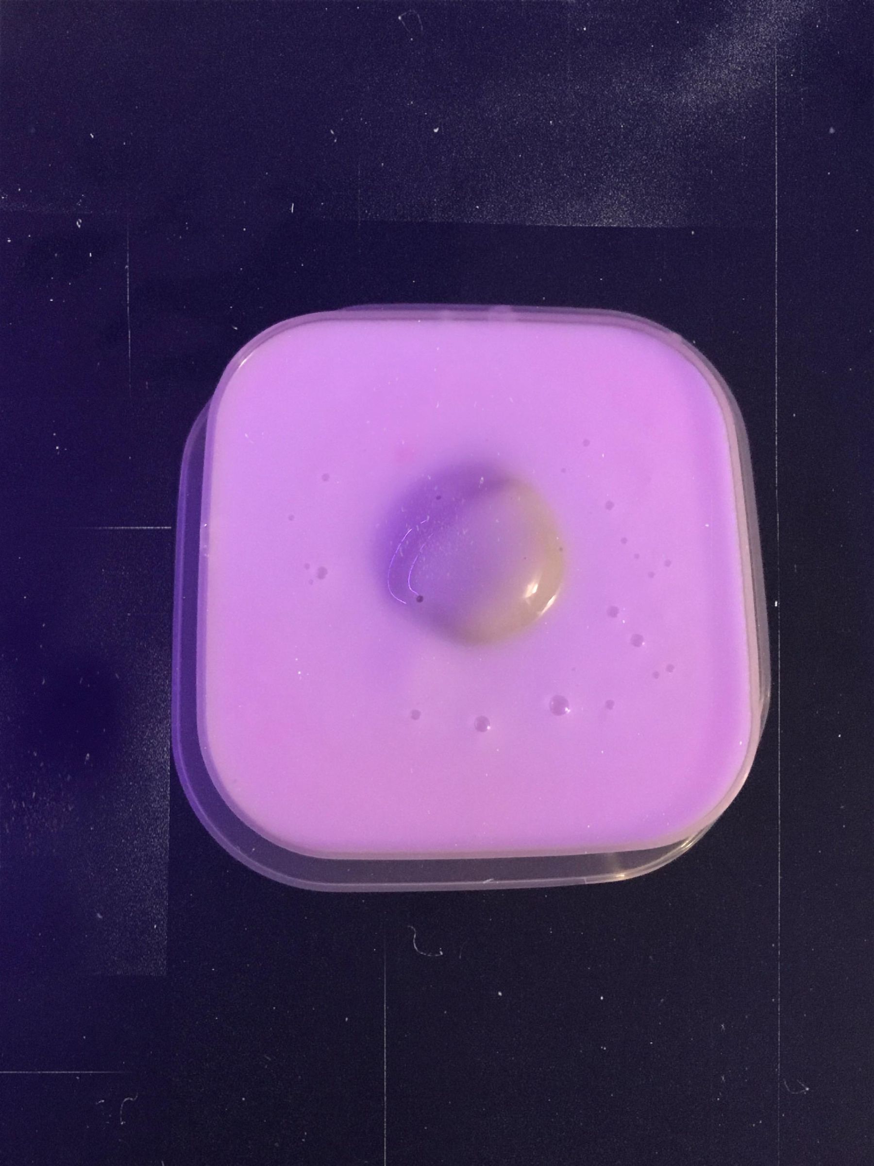 Steps to Making a Resin Skull (Mold Making and Resin) : 7 Steps (with ...