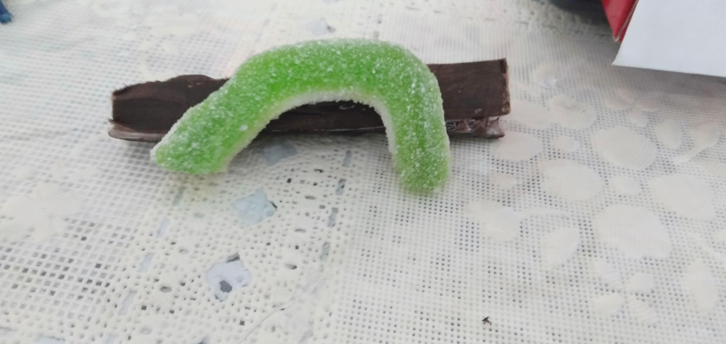 Freshwater Pond Ecosystem Model With Candy! : 8 Steps - Instructables