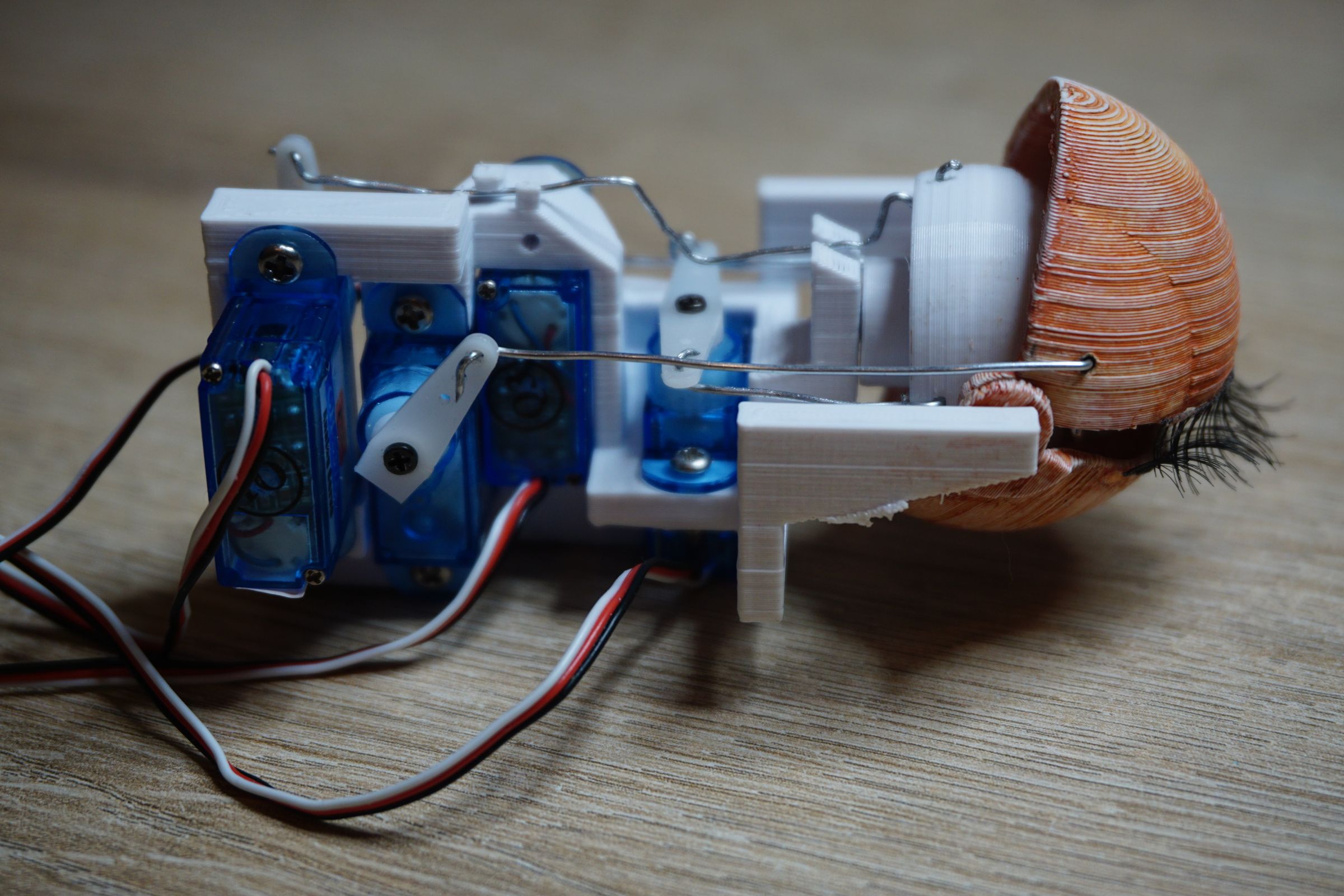 Animatronic Eyes With Remote Control : 5 Steps - Instructables