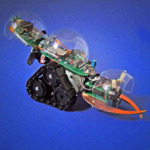 Make a Robot Ant : 9 Steps (with Pictures) - Instructables