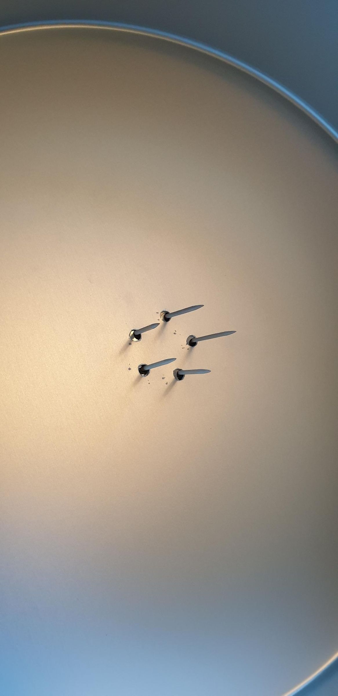 Degu Exercise Wheel : 6 Steps (with Pictures) - Instructables