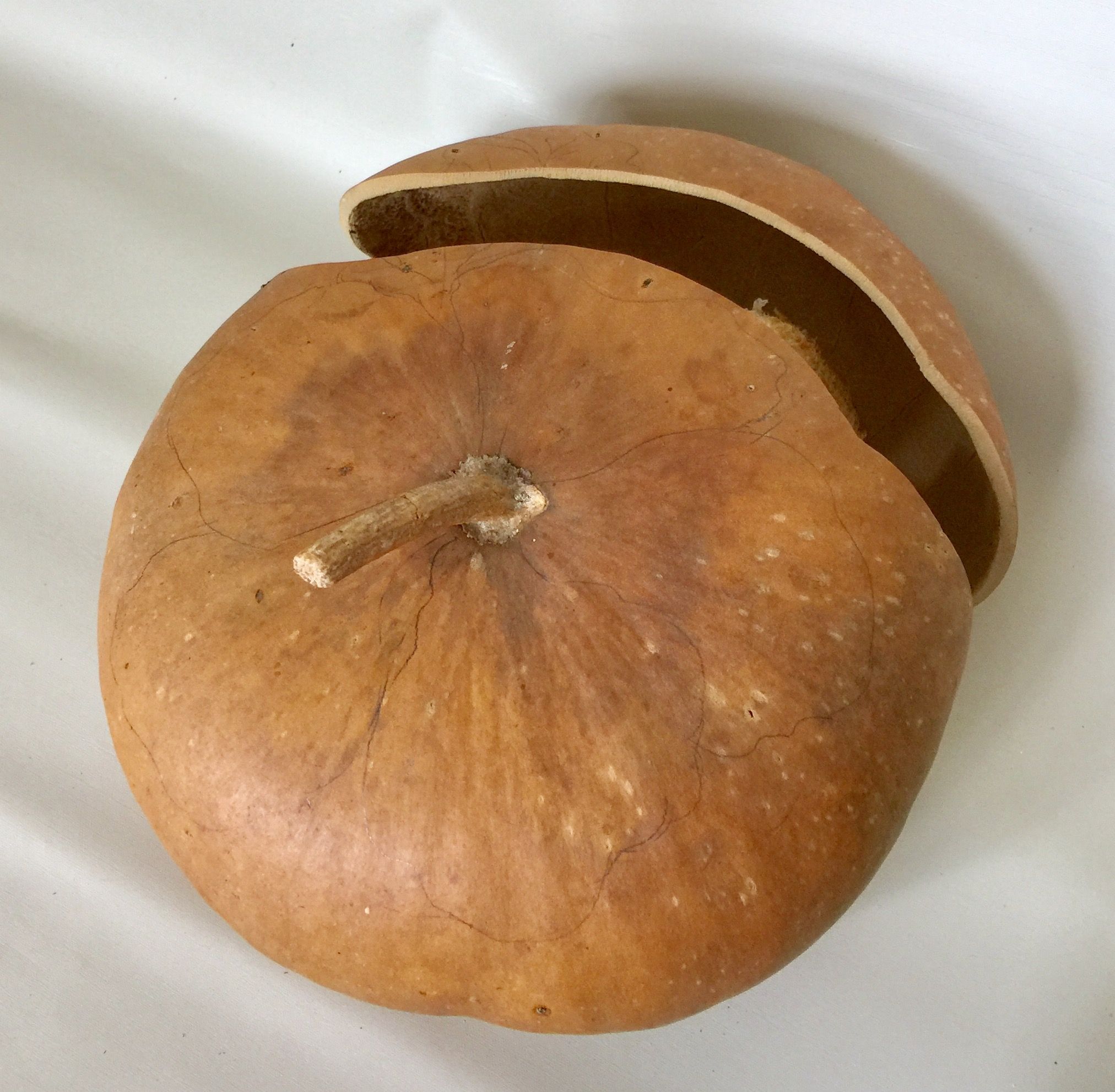 Gourd Bag : 5 Steps (with Pictures) - Instructables
