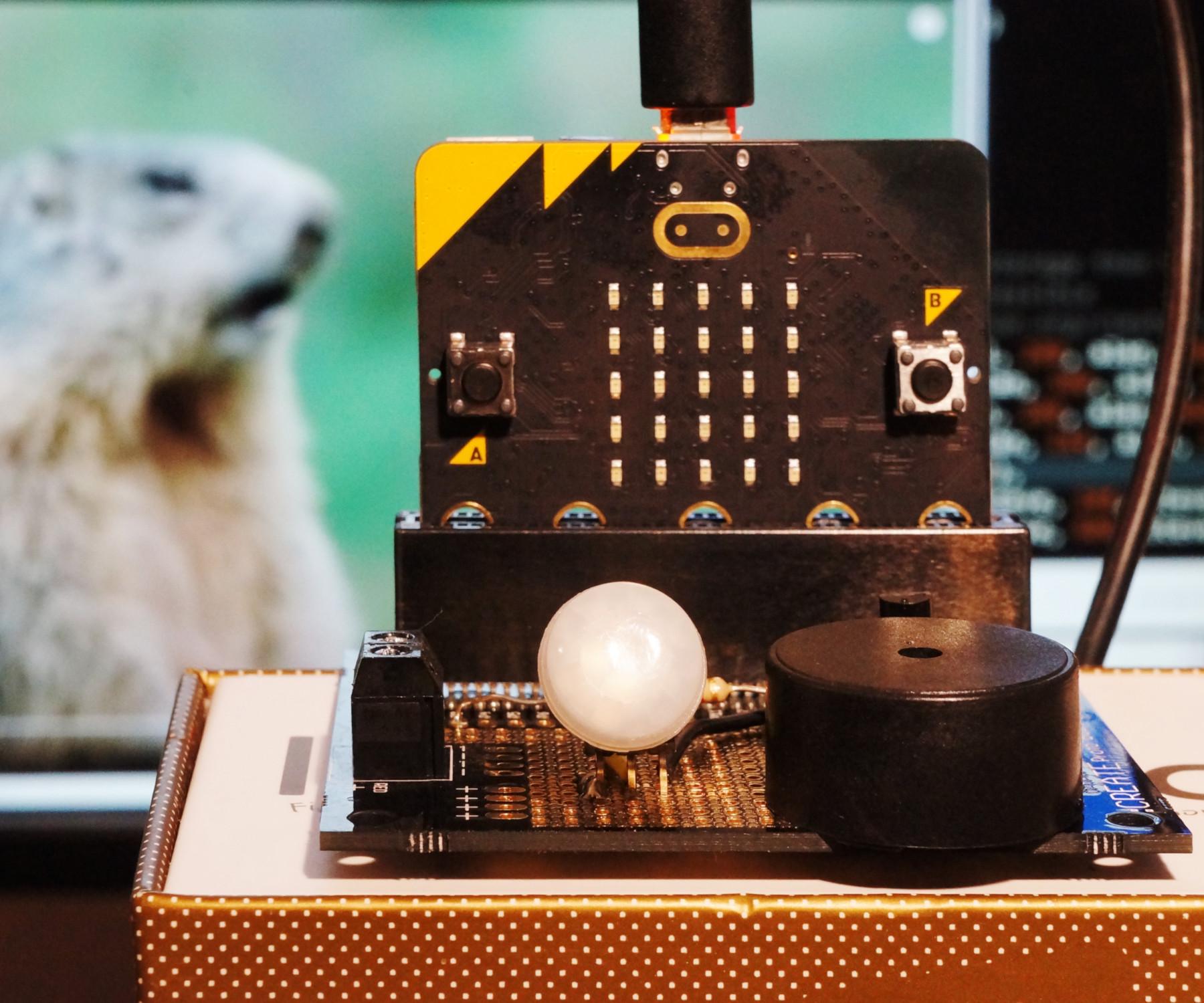 PIR Movement Alarm With BBC Micro:bit and External Speaker : 7 Steps ...