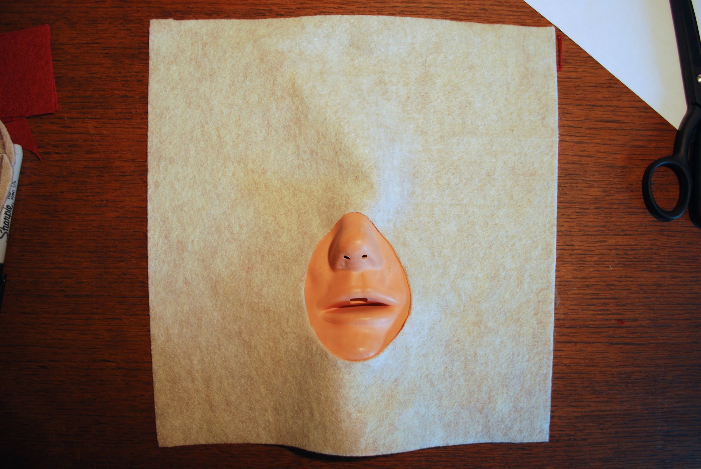 Make-Out Practice Pillow for Valentine's Day : 5 Steps (with Pictures ...