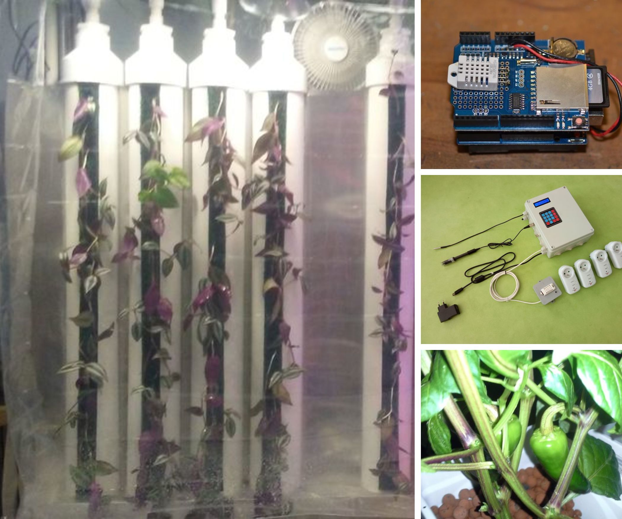 Garden - Instructables
