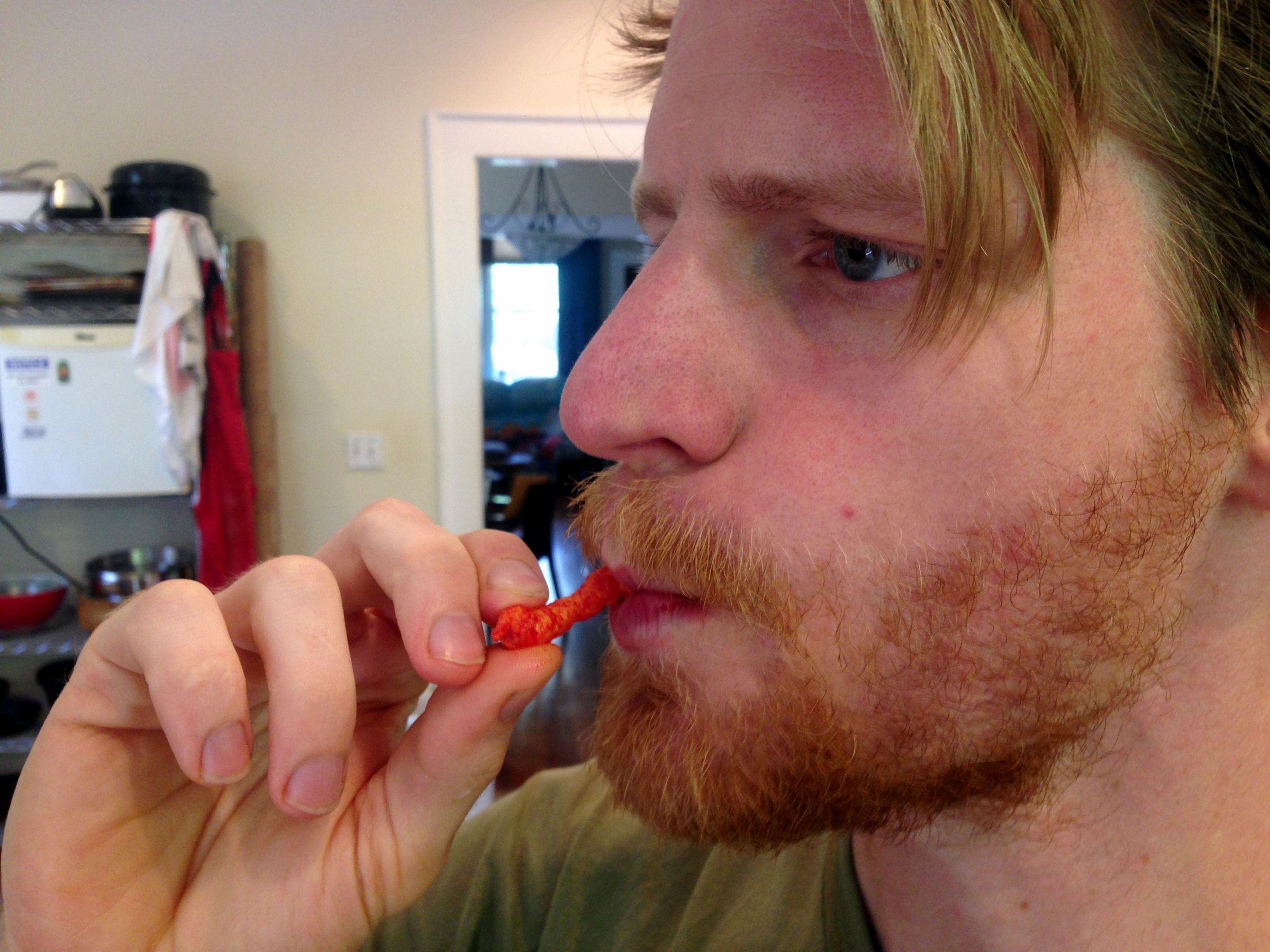 Flamin' Hot Cheeto Powder : 3 Steps (with Pictures) - Instructables