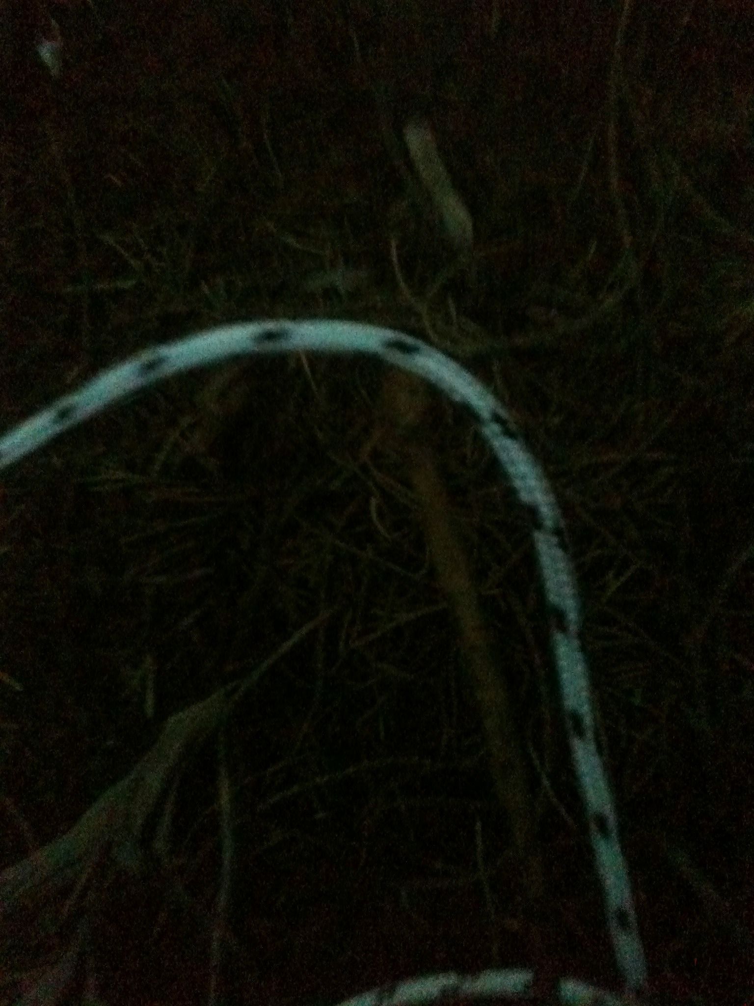 Simple Snare for Small Game : 5 Steps - Instructables
