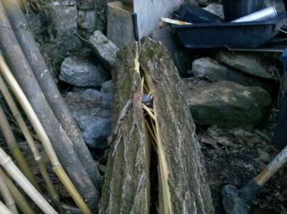 Splitting Black Locust Logs With Wedges : 7 Steps (with Pictures ...