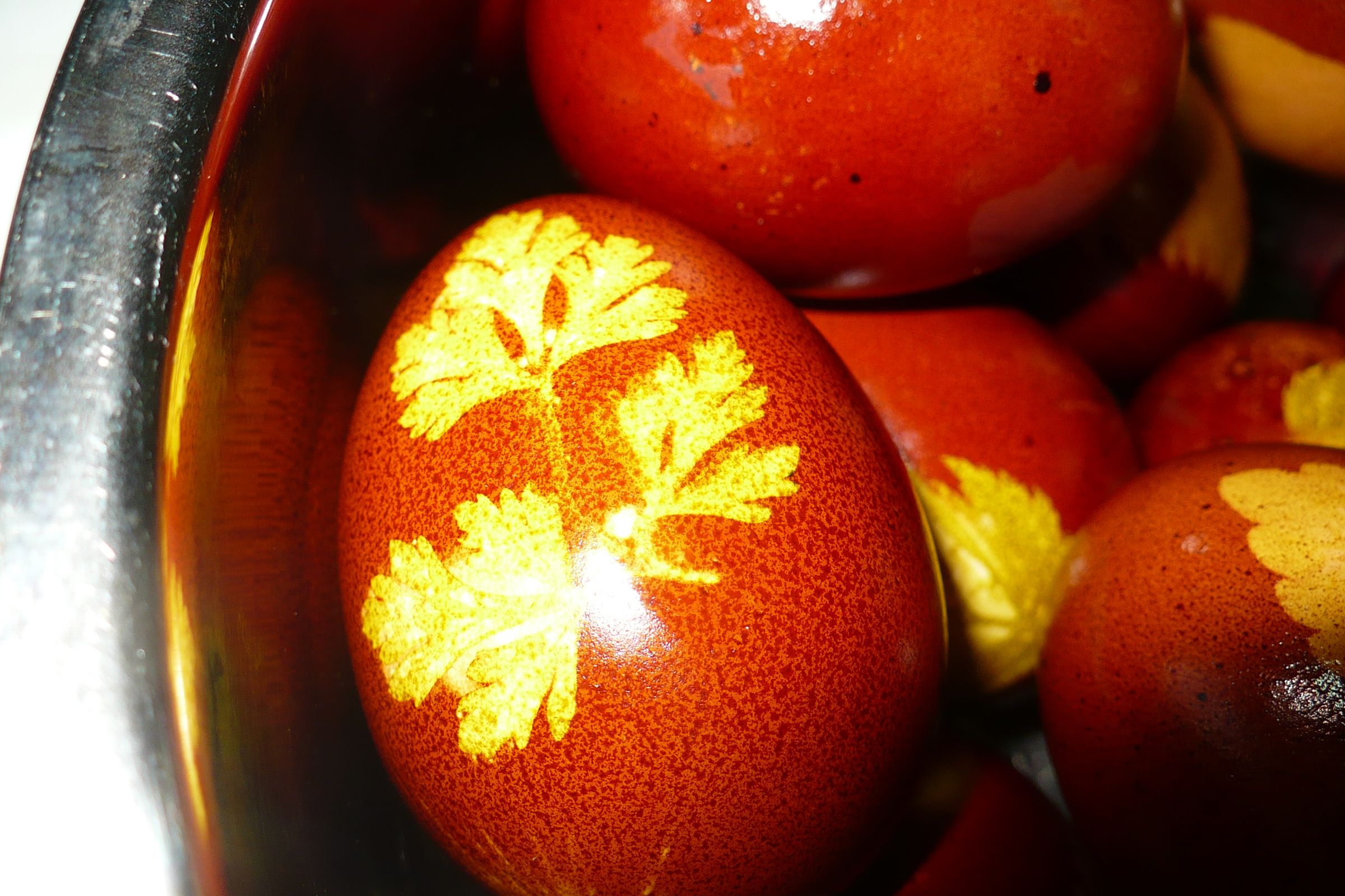 Bio Coloured Eggs : 7 Steps (with Pictures) - Instructables