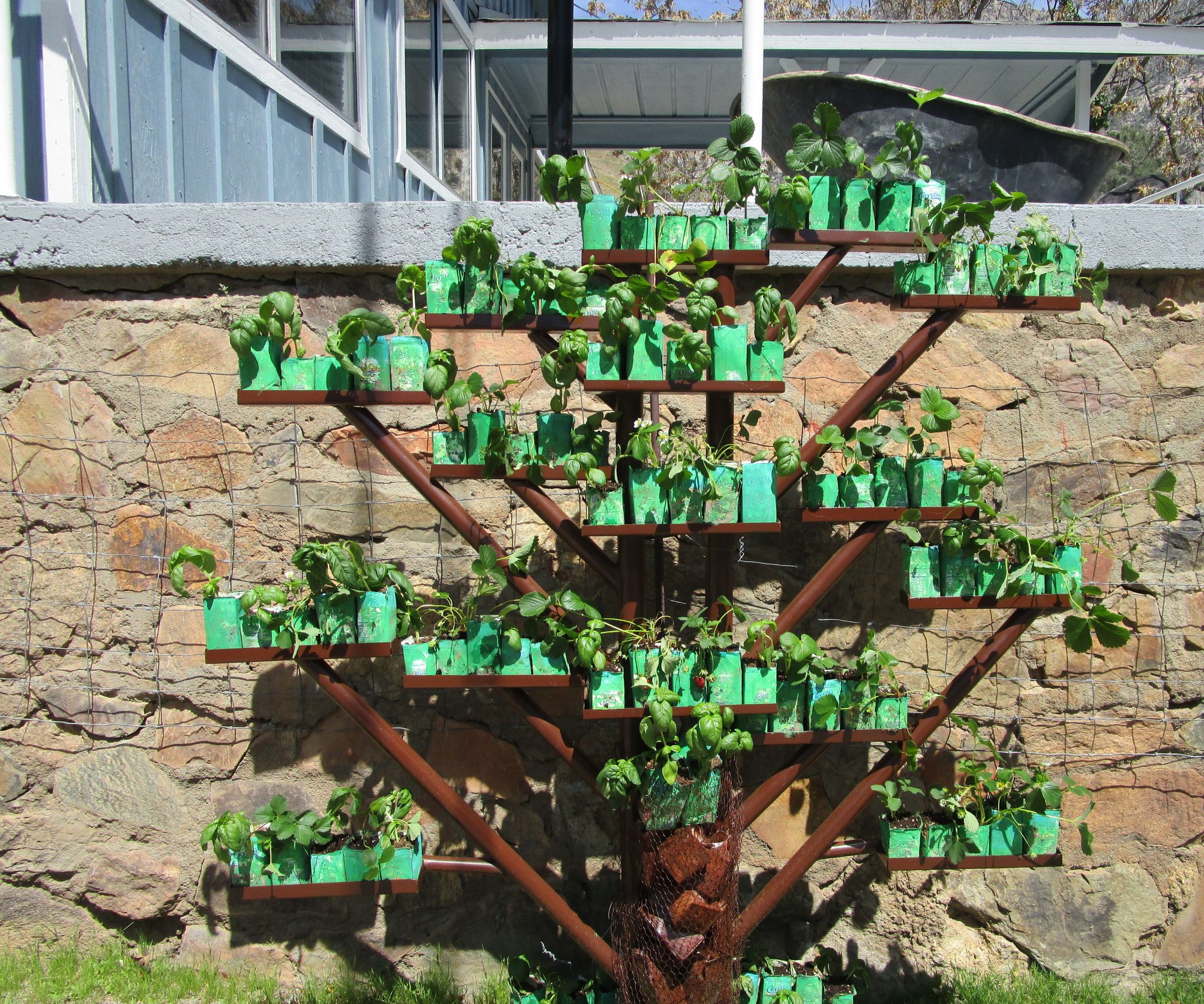 Carton to Garden : 4 Steps - Instructables