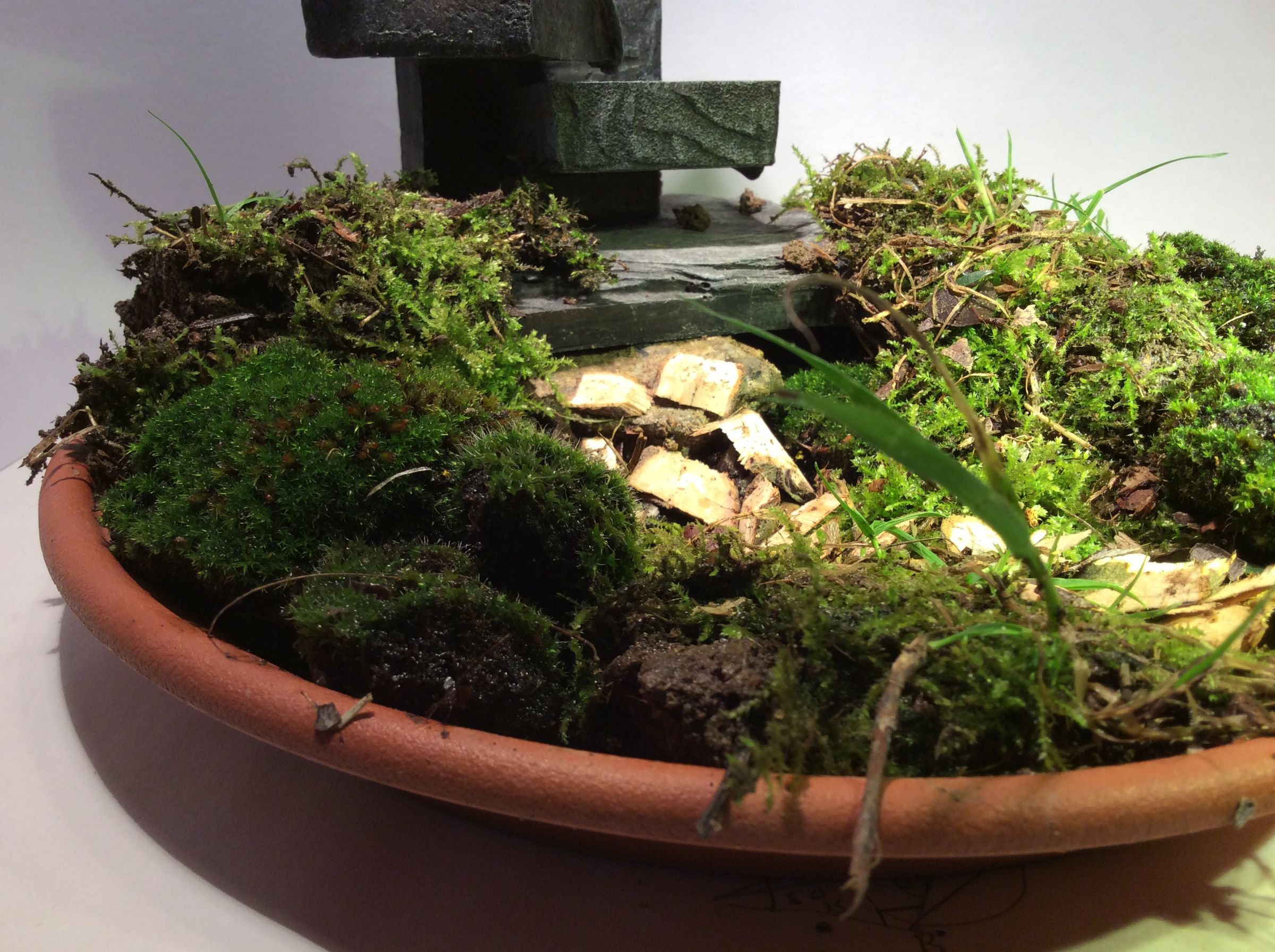 Miniature Garden on Your Desk. : 7 Steps (with Pictures) - Instructables
