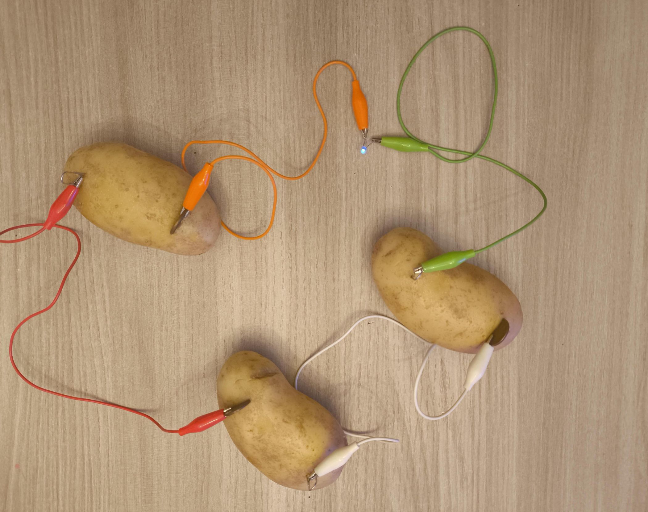 Potatoes Circuit (Circuito Delle Patate). Experiment for Educational Purposes in Order to Learn ...