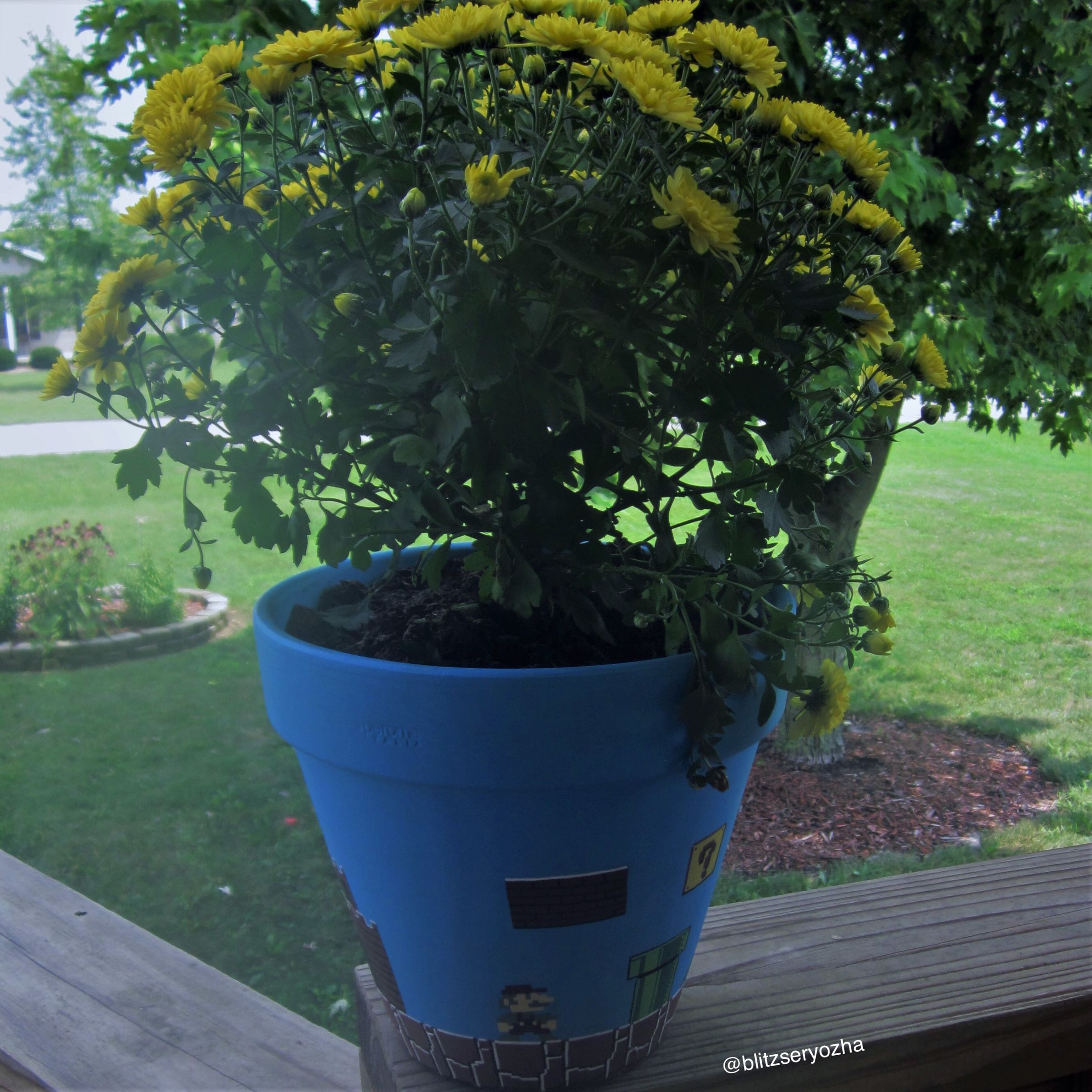 Super Mario Bros Inspired Flower Pot : 12 Steps (with Pictures ...