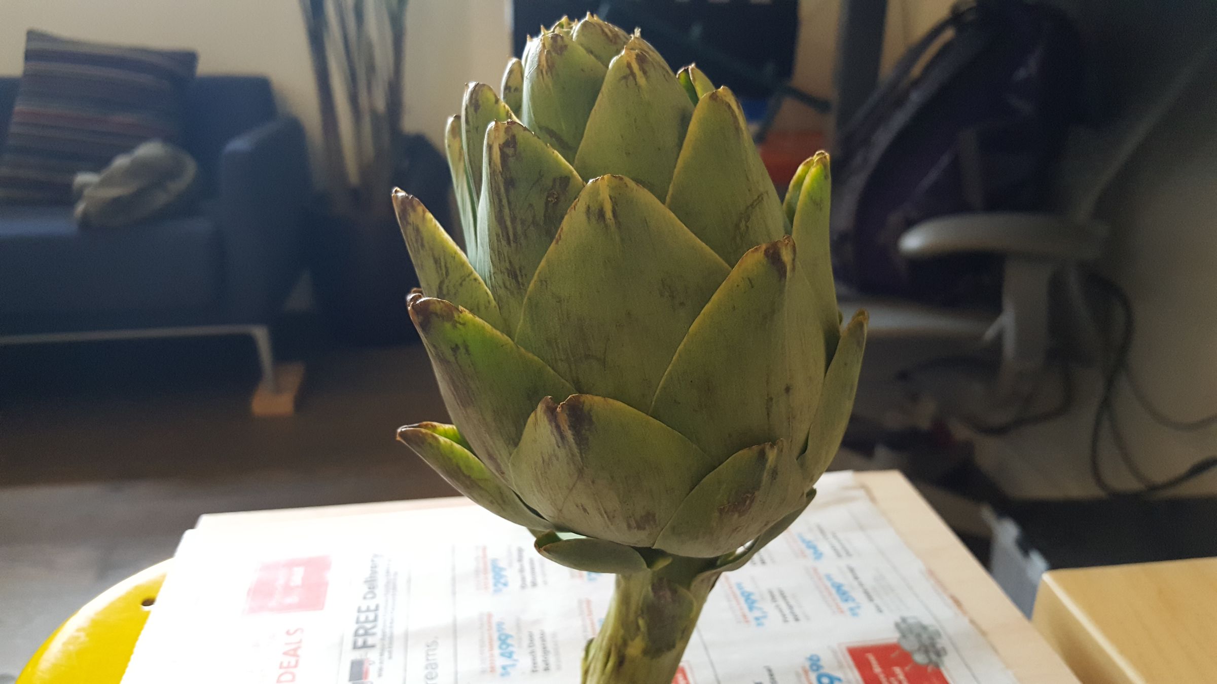 Understanding 3D Scanning : 6 Steps - Instructables