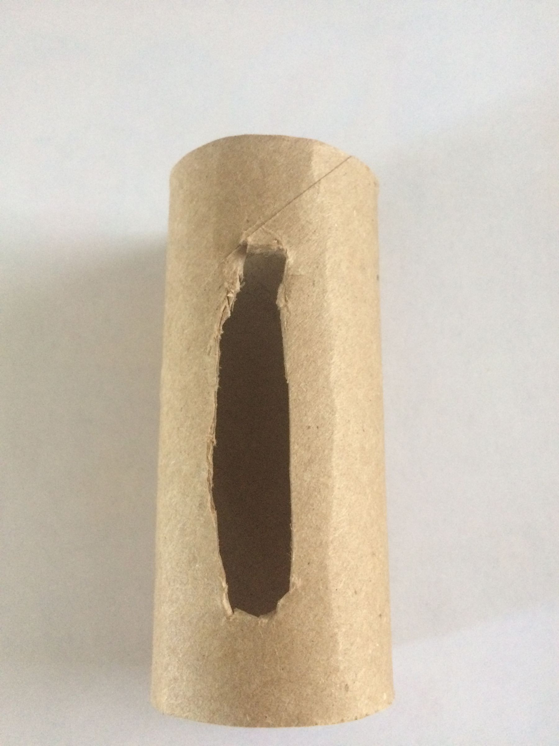 Toilet Paper Roll Speaker and Phone Holder : 6 Steps - Instructables