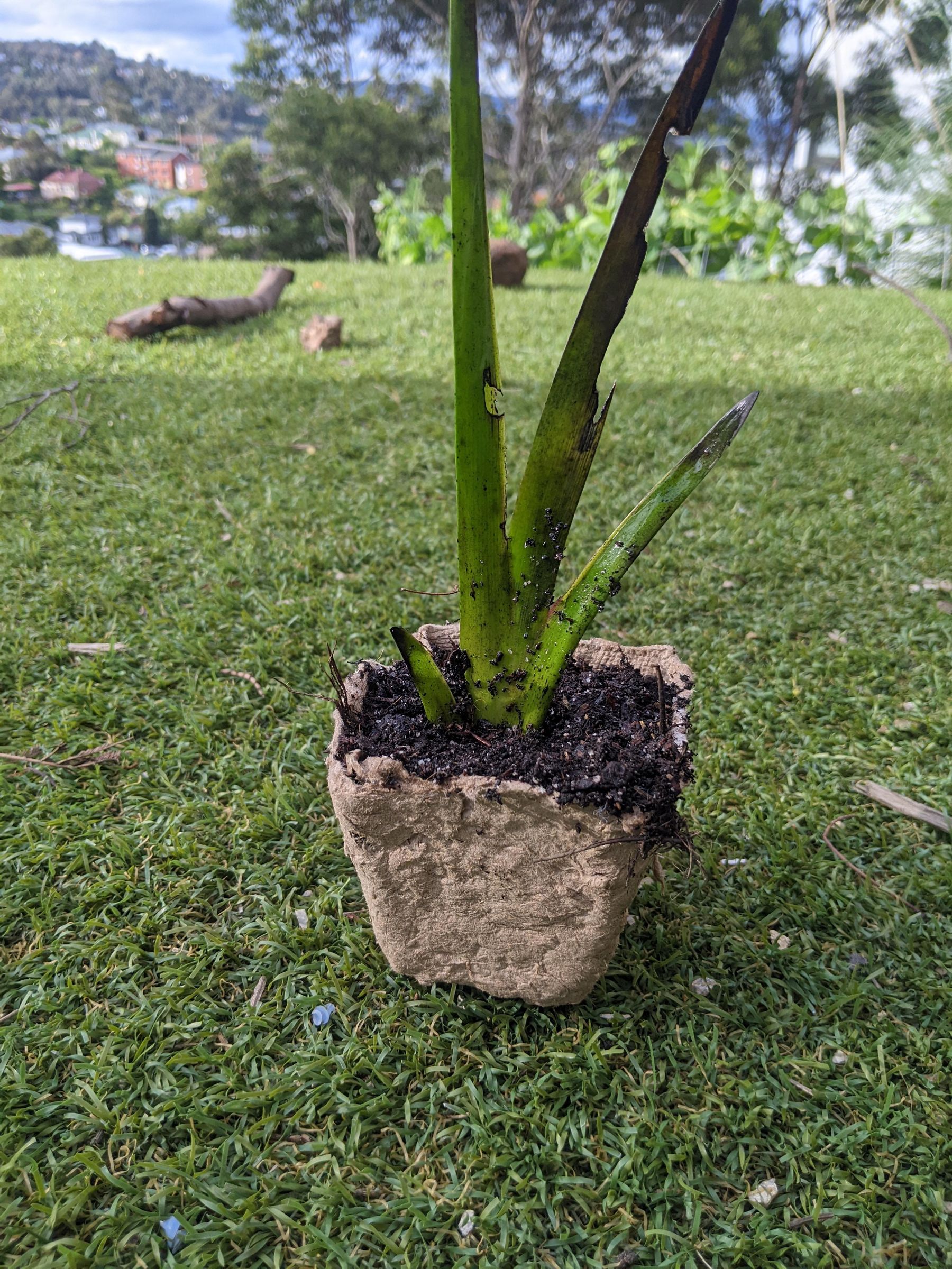 Paper Pulp Pot Mould : 8 Steps (with Pictures) - Instructables