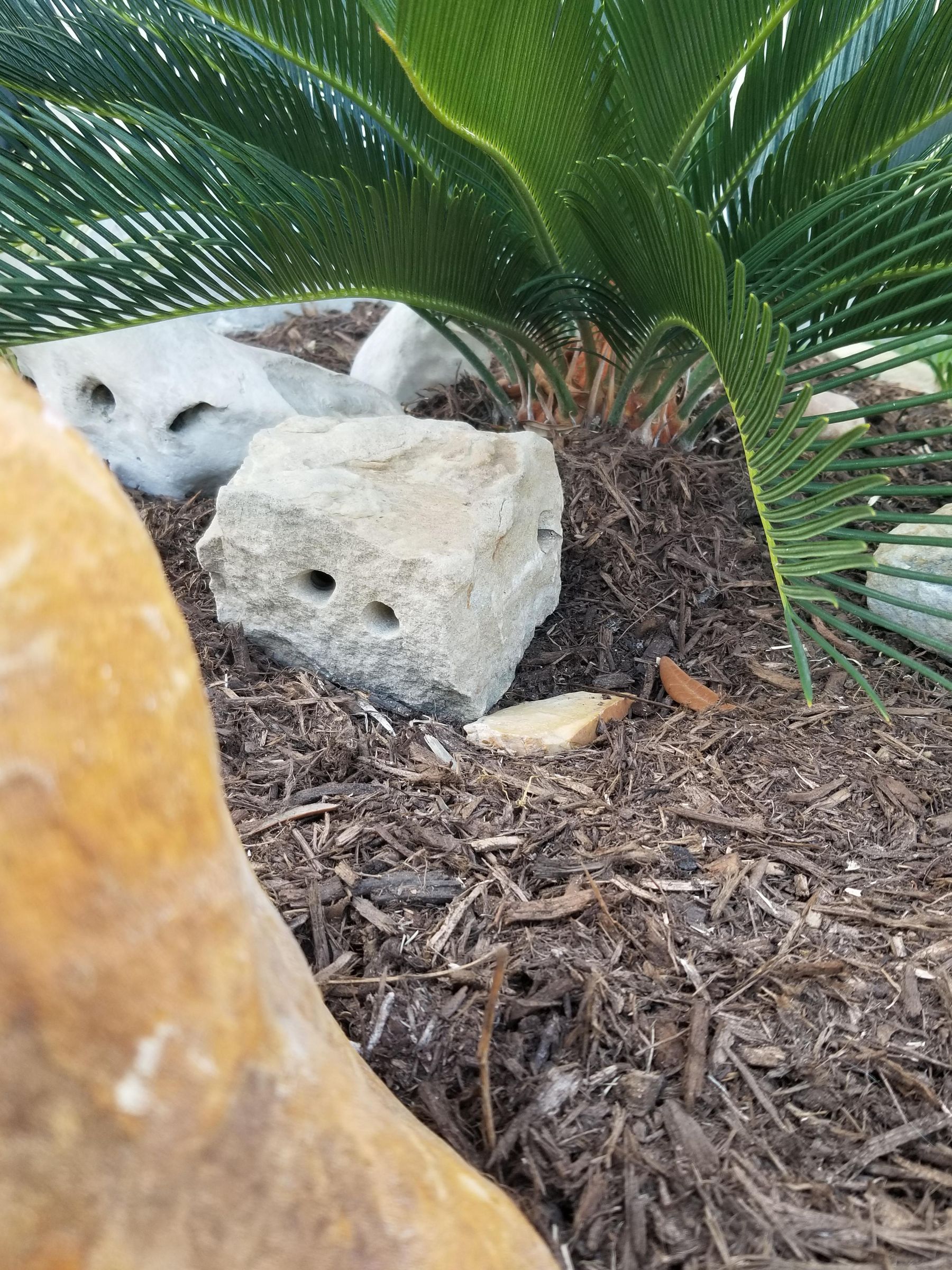 Build a Backyard Lizard Condo : 3 Steps (with Pictures) - Instructables