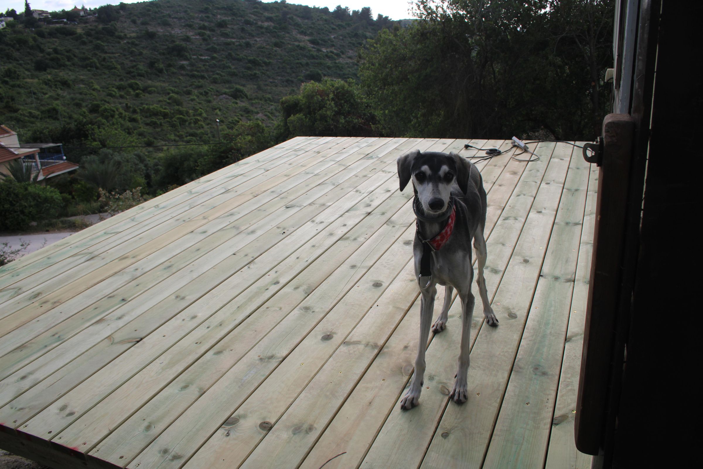 Elevated Wooden Deck (With Stairs) : 11 Steps (with Pictures ...