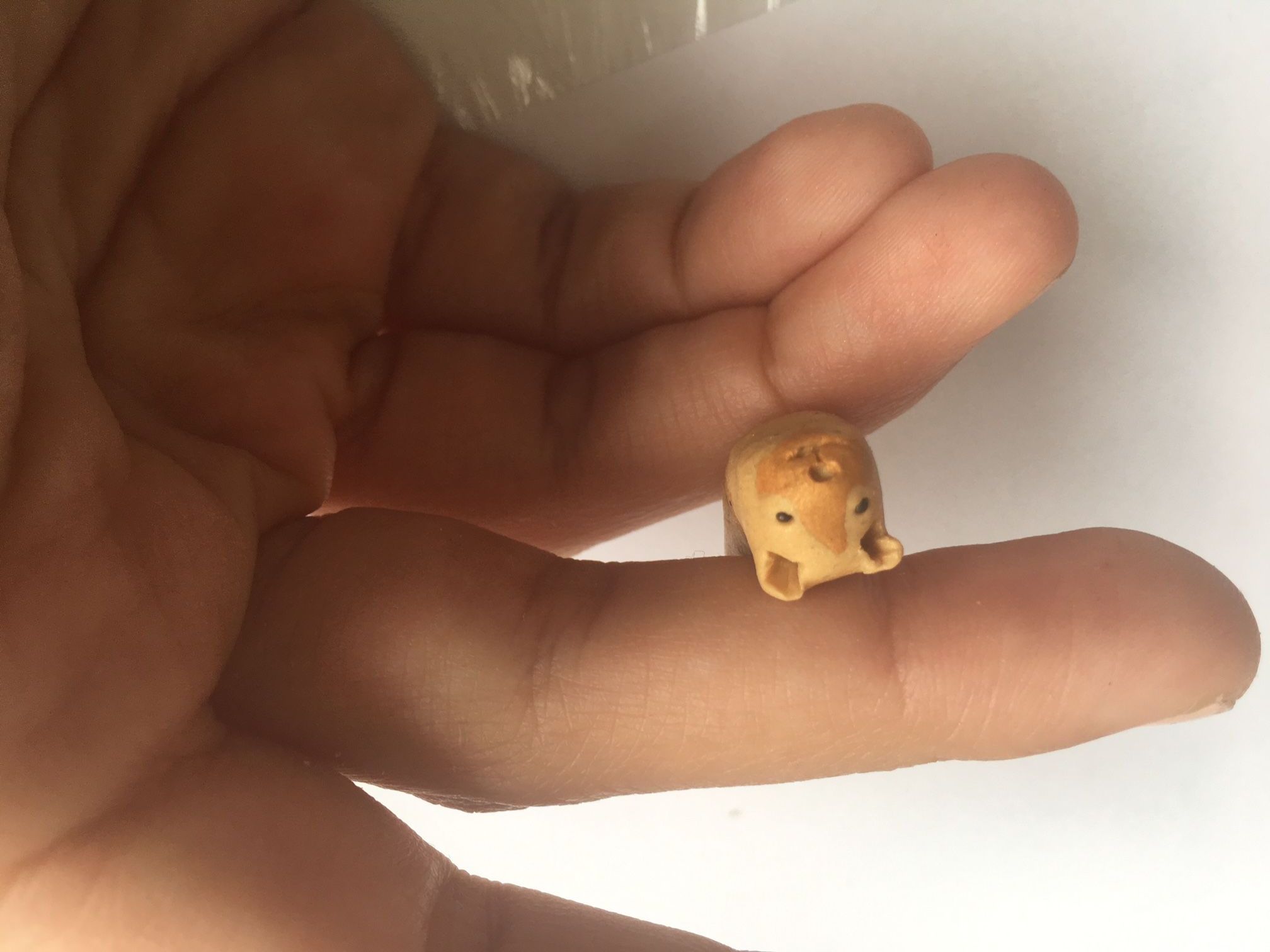 Hamster Race Game : 5 Steps (with Pictures) - Instructables