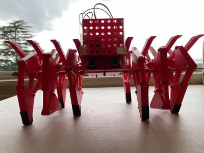 Remote Controlled Strandbeest : 14 Steps (with Pictures) - Instructables