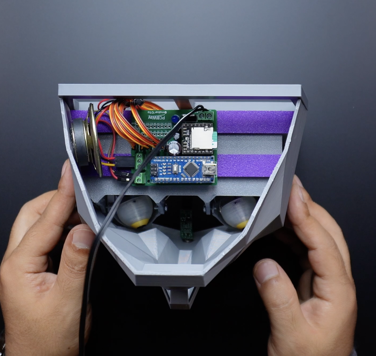 Face With Animatronic Eyes, Motion Detection and Voice : 6 Steps (with ...