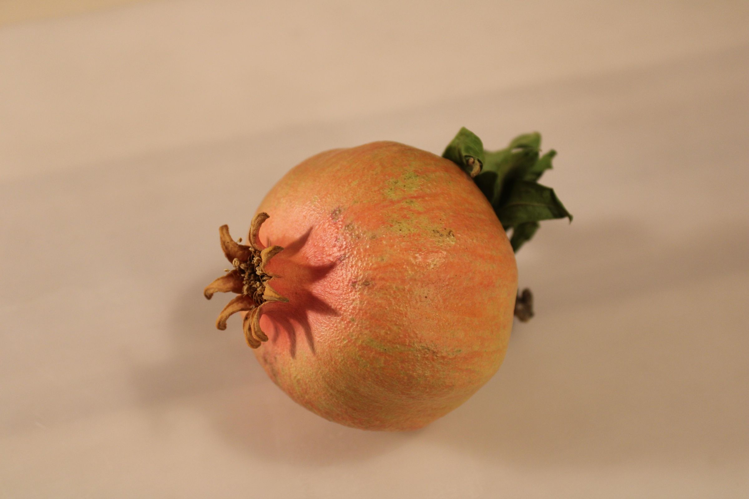 Fruit Boxes (Boxes Made of 100% Rotten Fruit) : 3 Steps (with Pictures ...