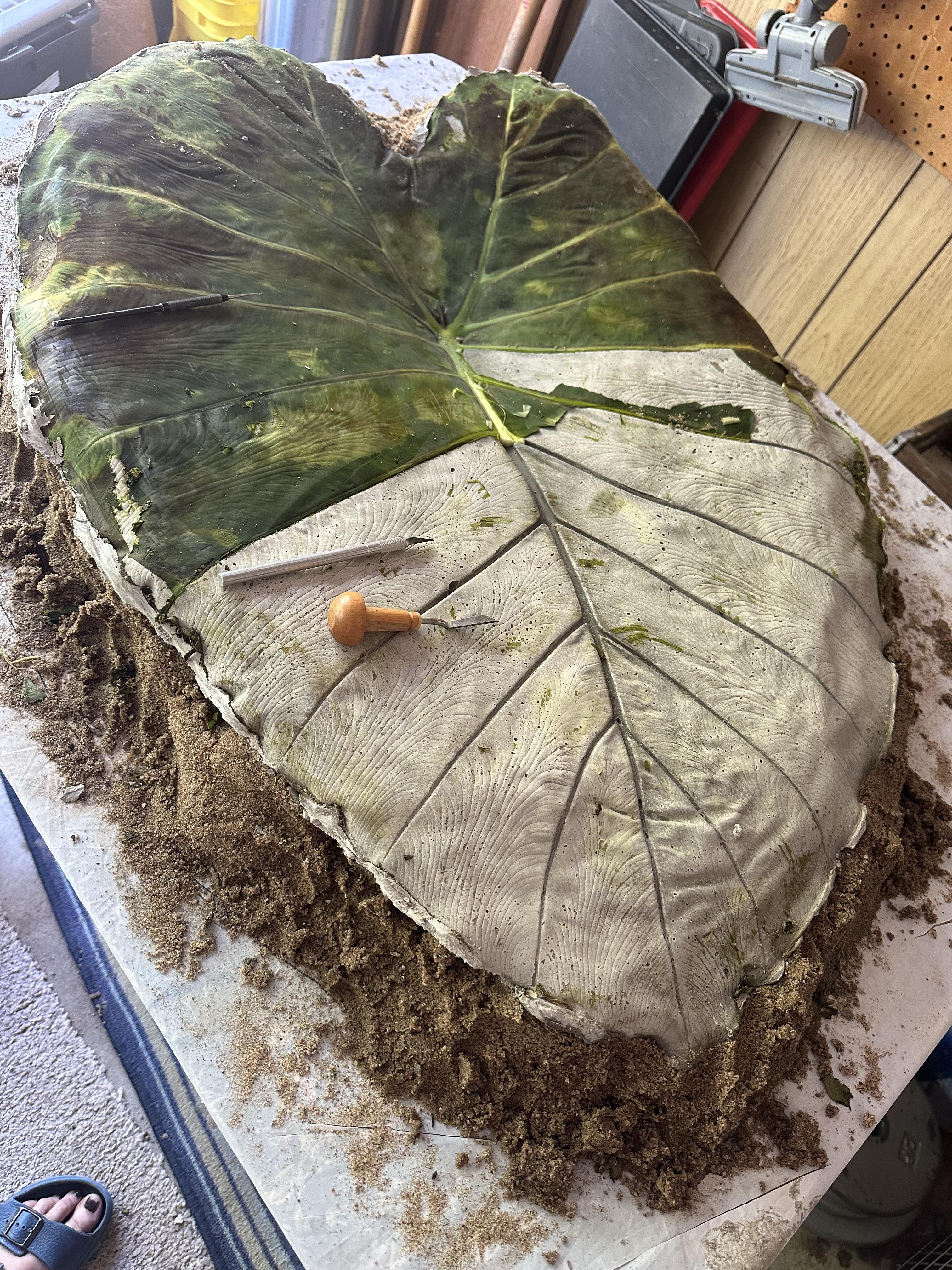 Leaf Castings : 12 Steps - Instructables