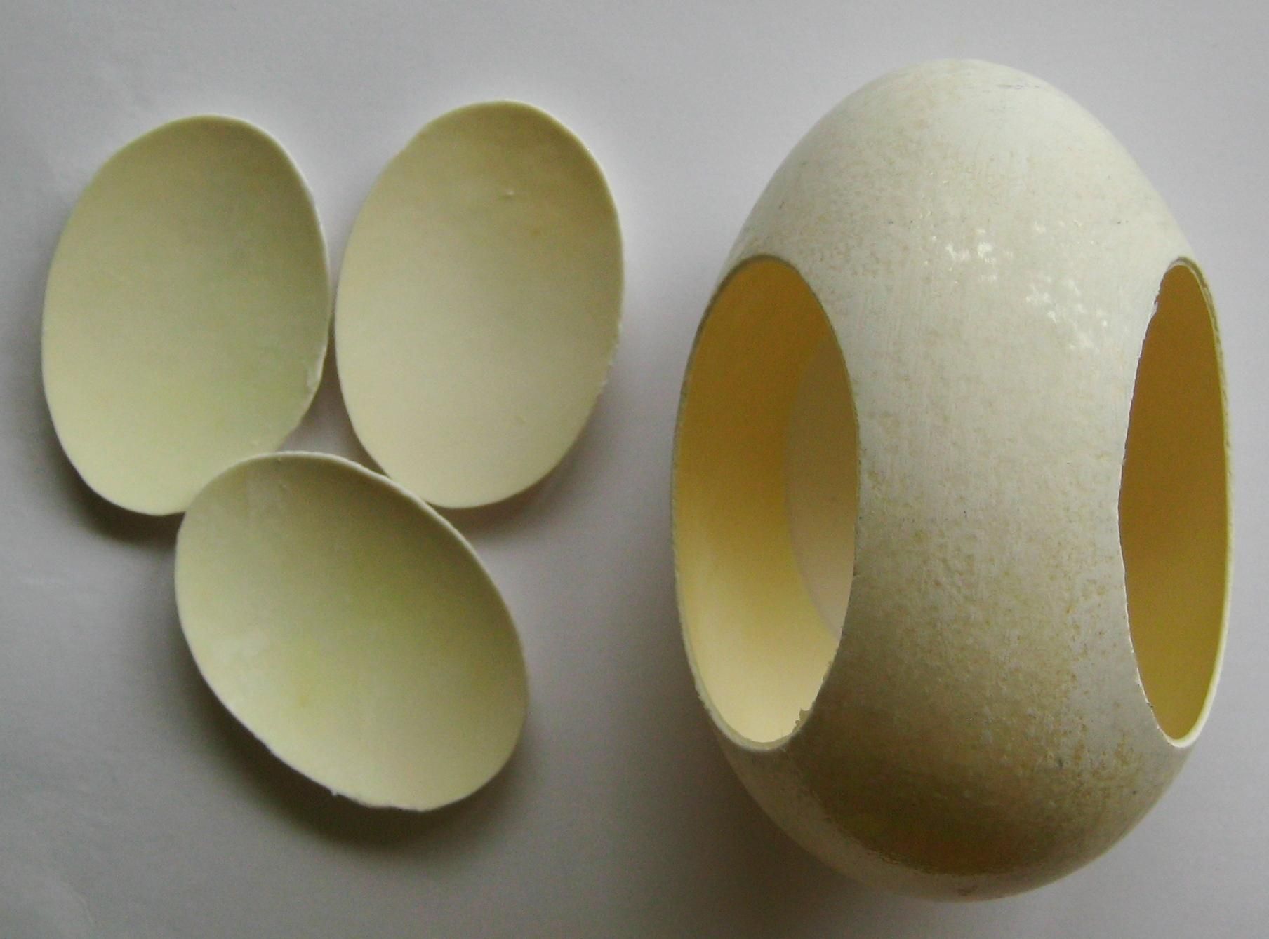 CAMEO - a Goose Eggshell Decorated With Paper Clay : 8 Steps (with ...