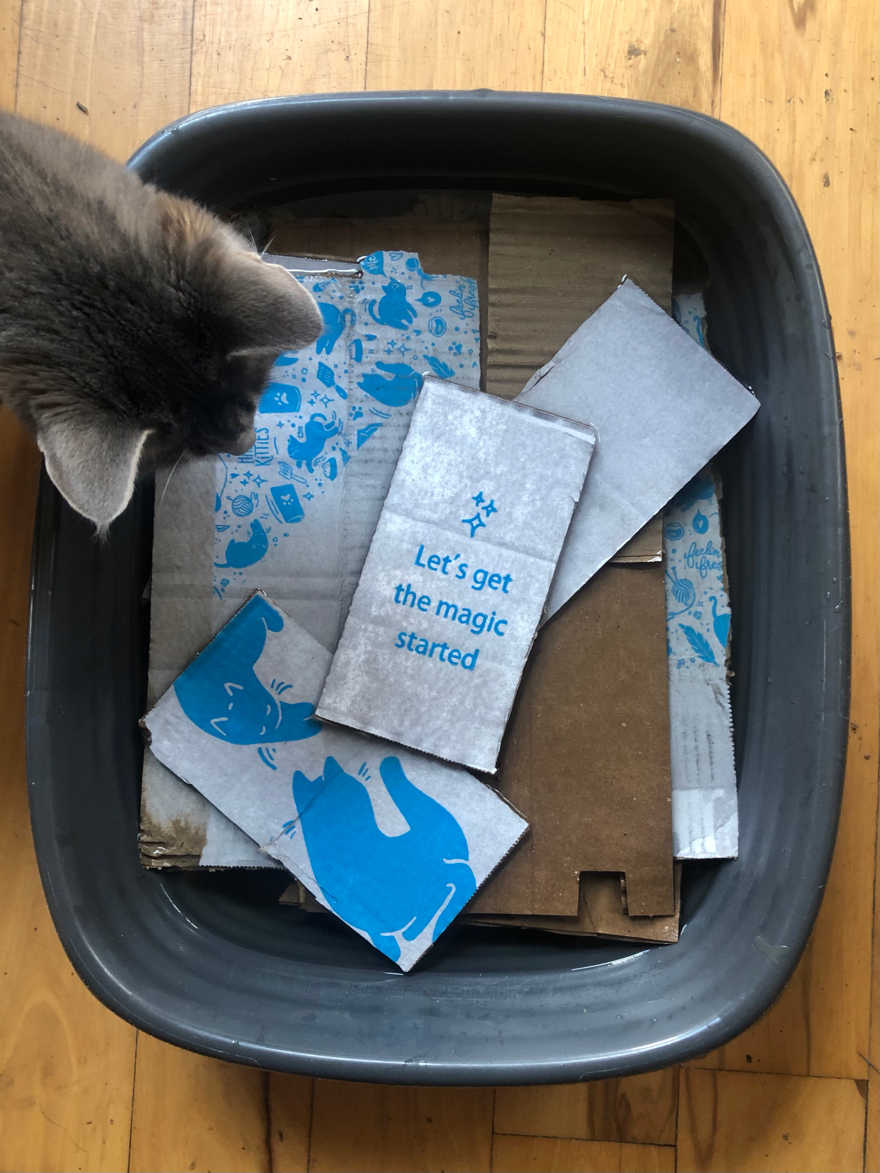Seed Paper From Used Cardboard Boxes : 8 Steps (with Pictures ...