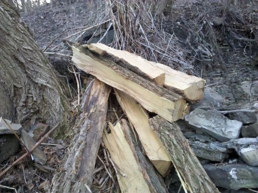 Black Locust Firewood