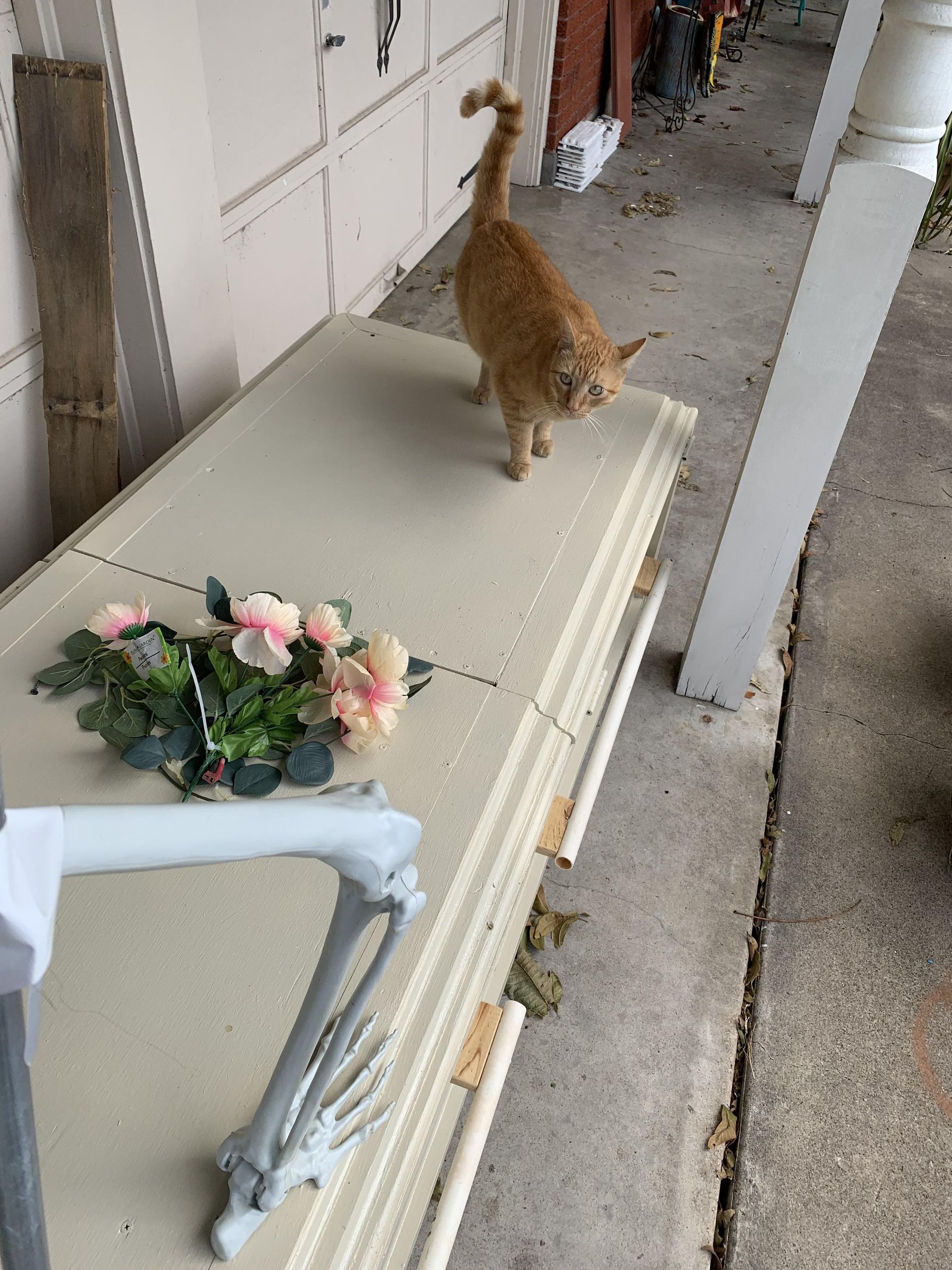 Crazy Casket : 7 Steps (with Pictures) - Instructables