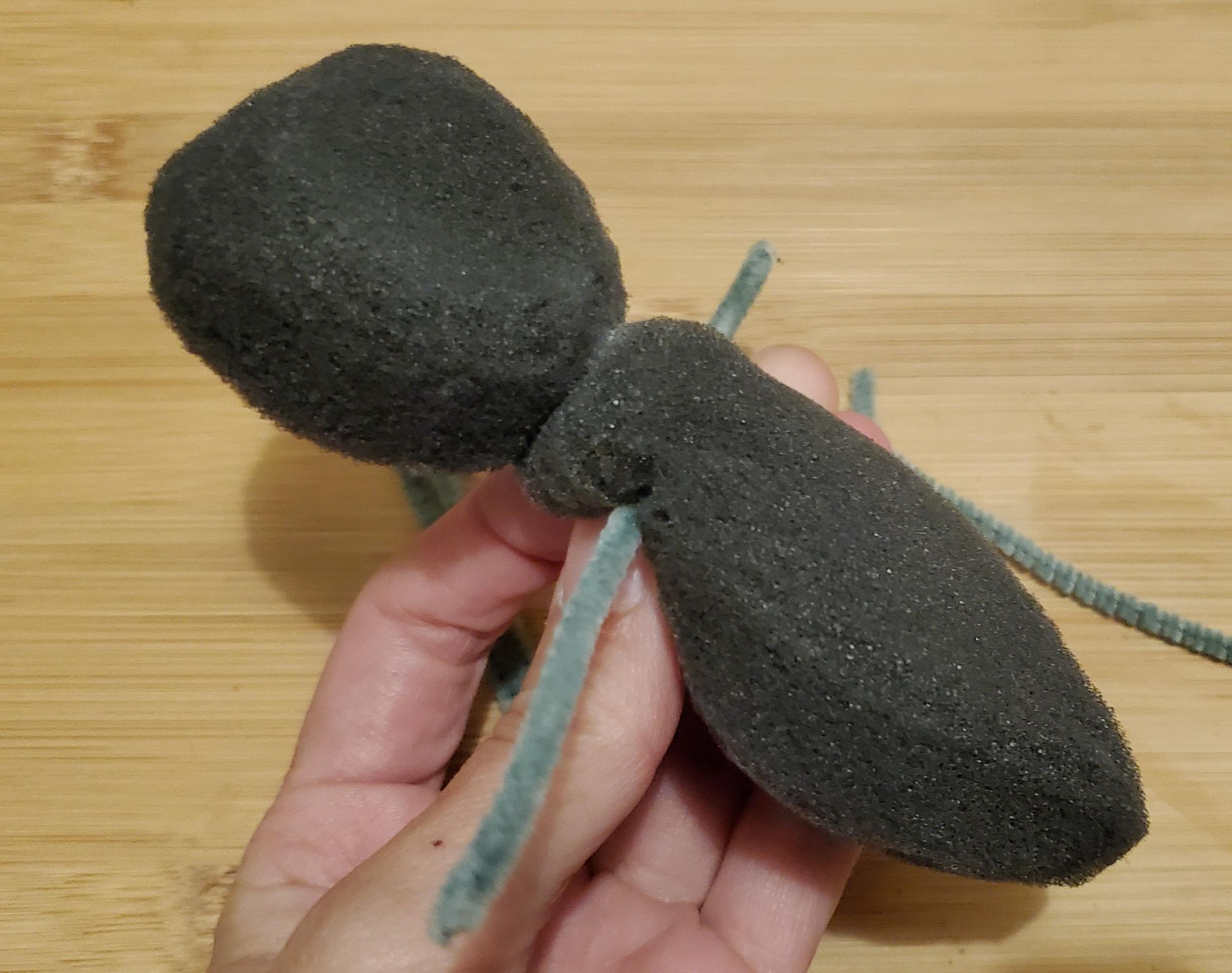 Jumping Spider : 9 Steps (with Pictures) - Instructables