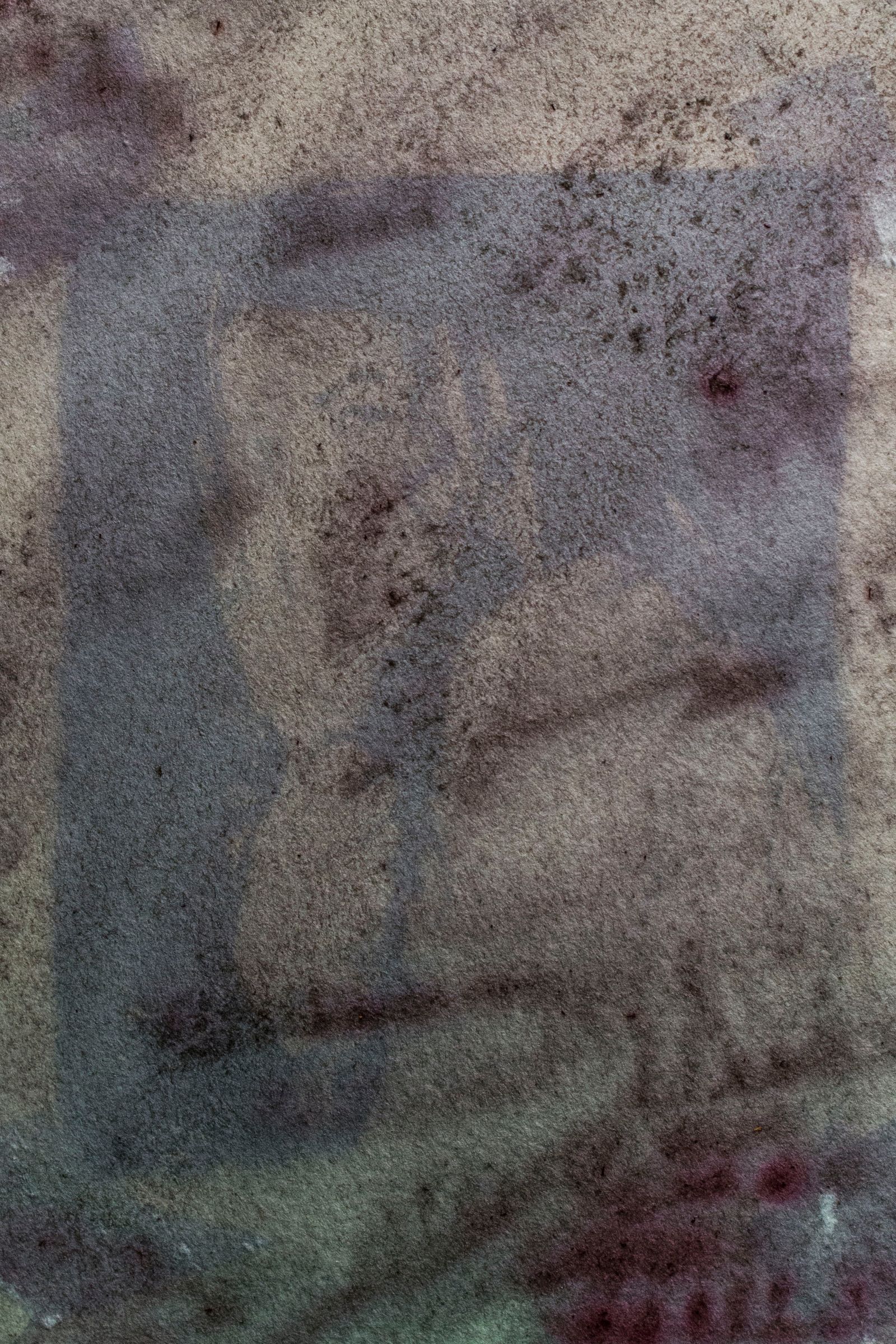 DIY Anthotype Prints: Photography : 5 Steps (with Pictures) - Instructables