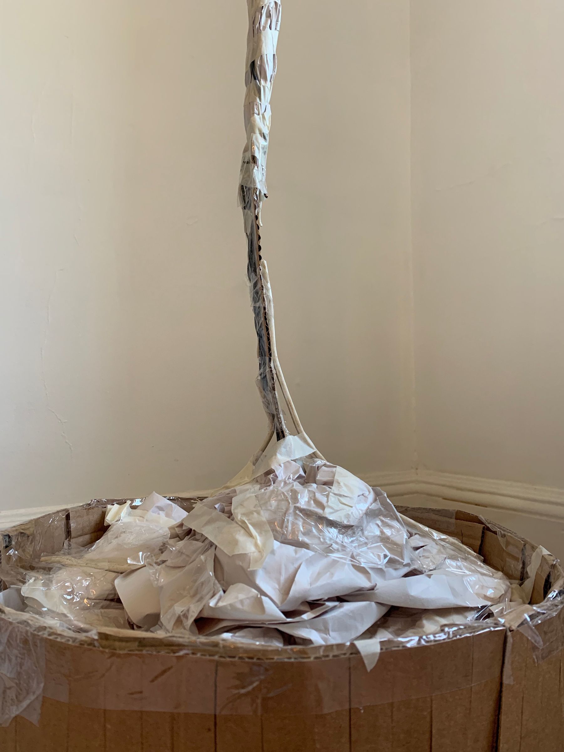 Supersized Paper-Mache House Plant : 8 Steps (with Pictures ...