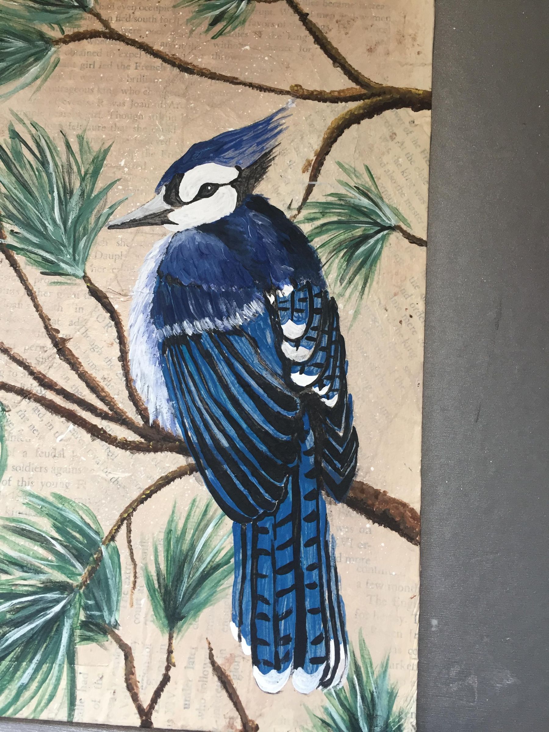 How to Paint a Blue Jay on a Branch. : 13 Steps (with Pictures ...