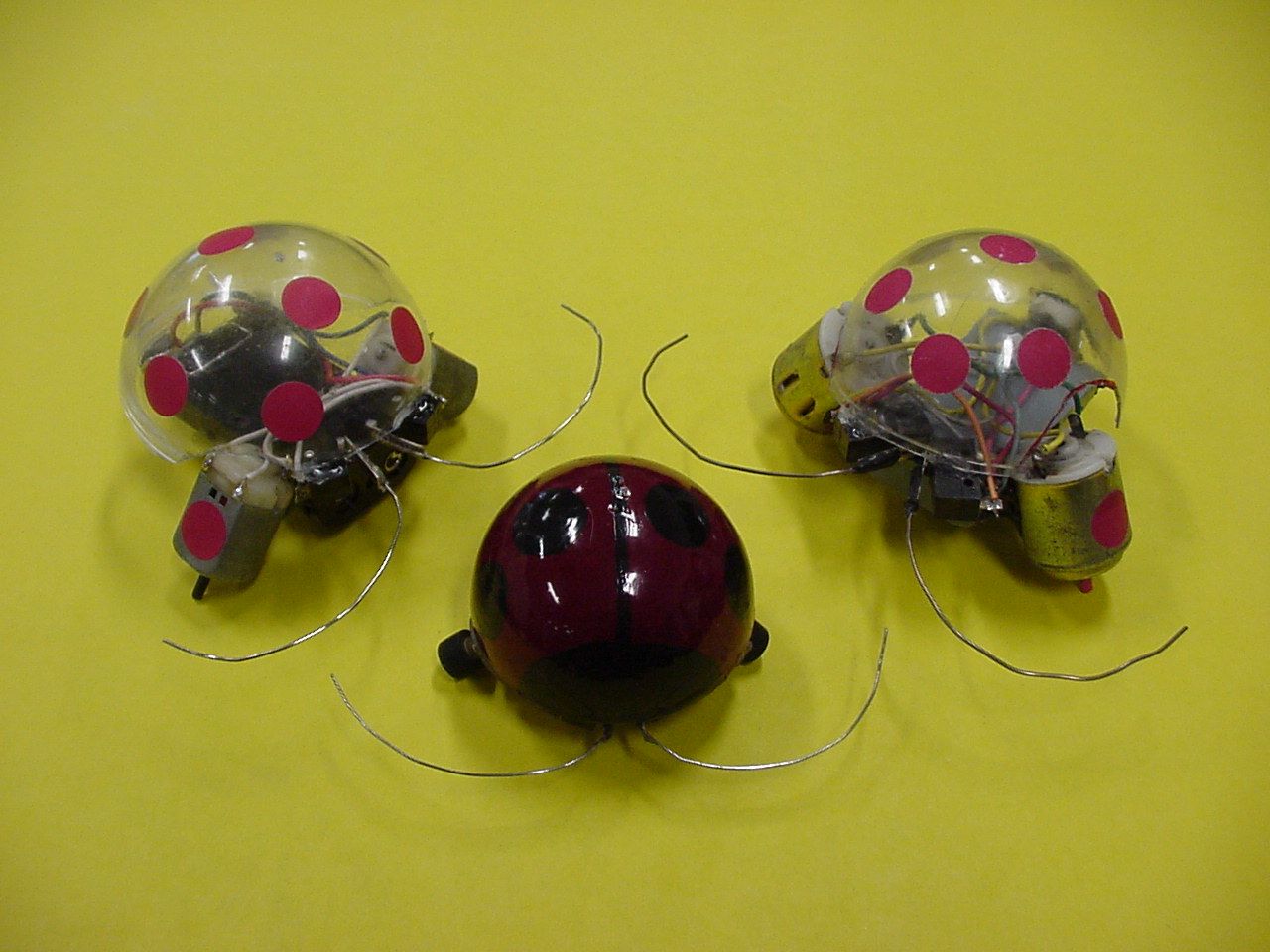 How to Build a Robot - the BeetleBot : 19 Steps (with Pictures ...