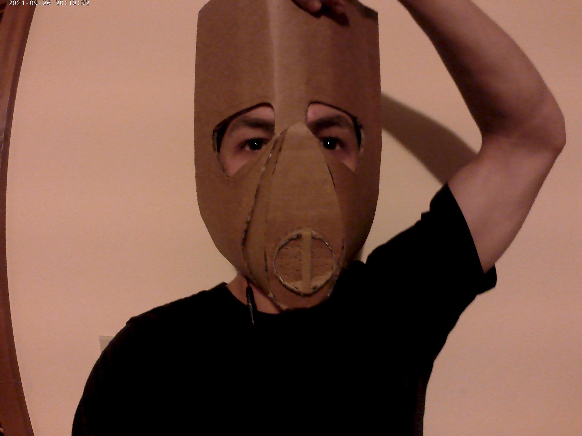 Cardboard Gas Mask : 7 Steps (with Pictures) - Instructables