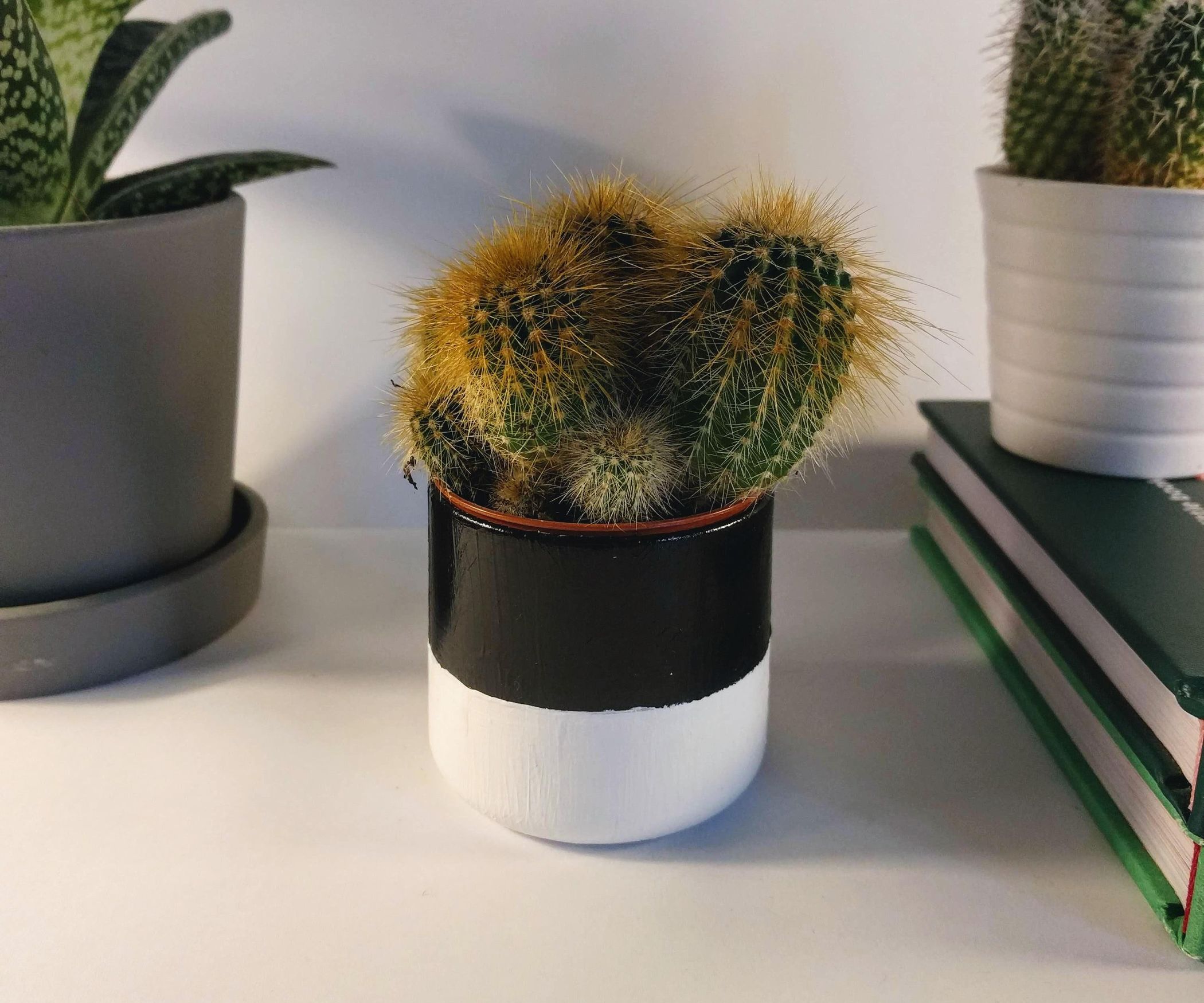 Plant Pot for Your Houseplant : 5 Steps (with Pictures) - Instructables