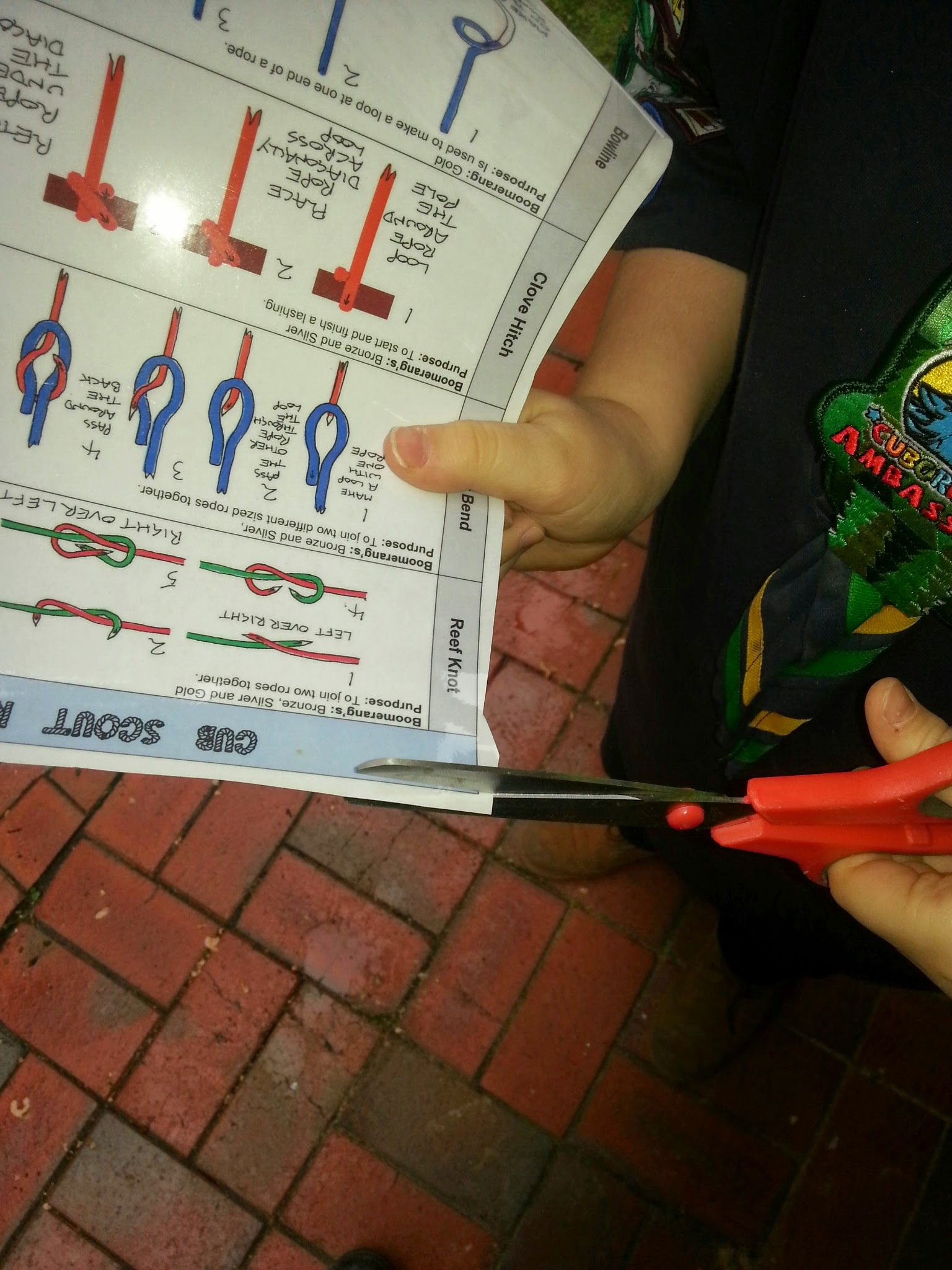 Knot Board for Australian Cub Scouts : 8 Steps (with Pictures ...